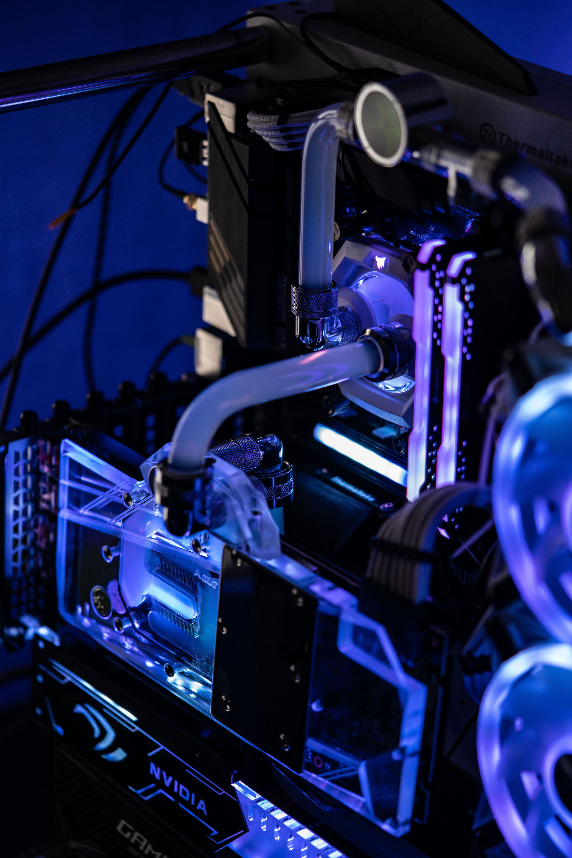 Purple Dream » builds.gg