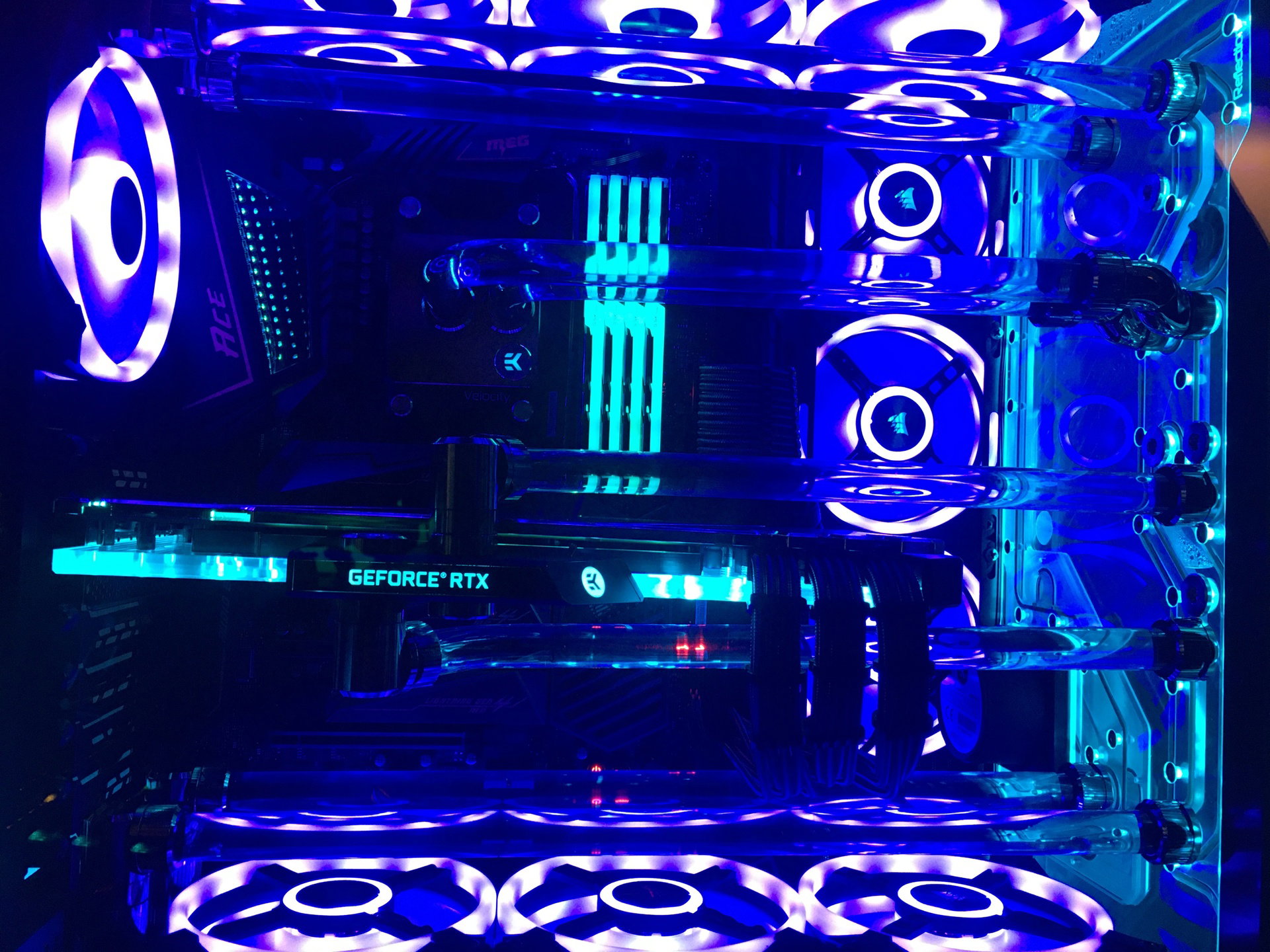 Aquarium » builds.gg