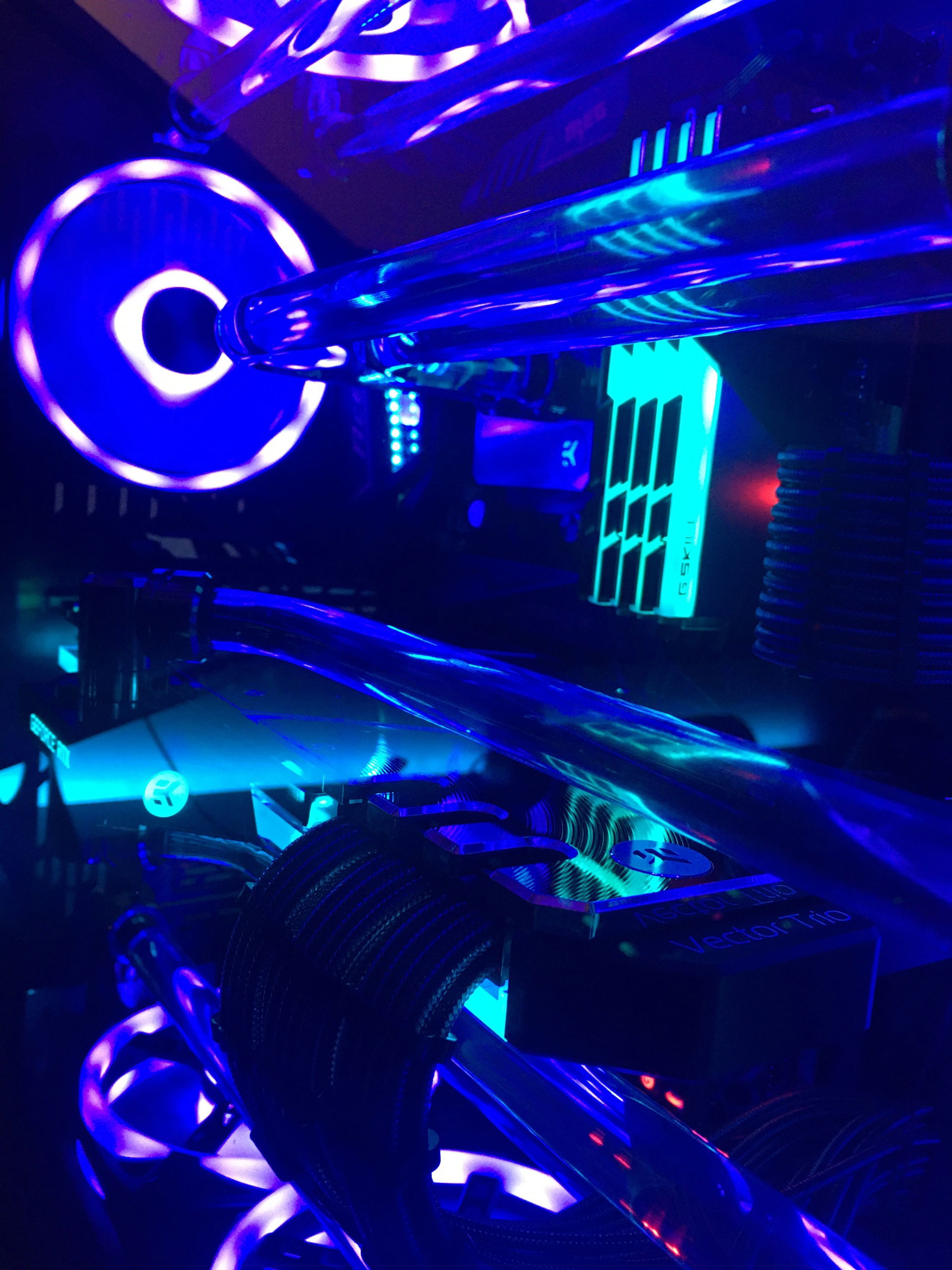 Aquarium » builds.gg