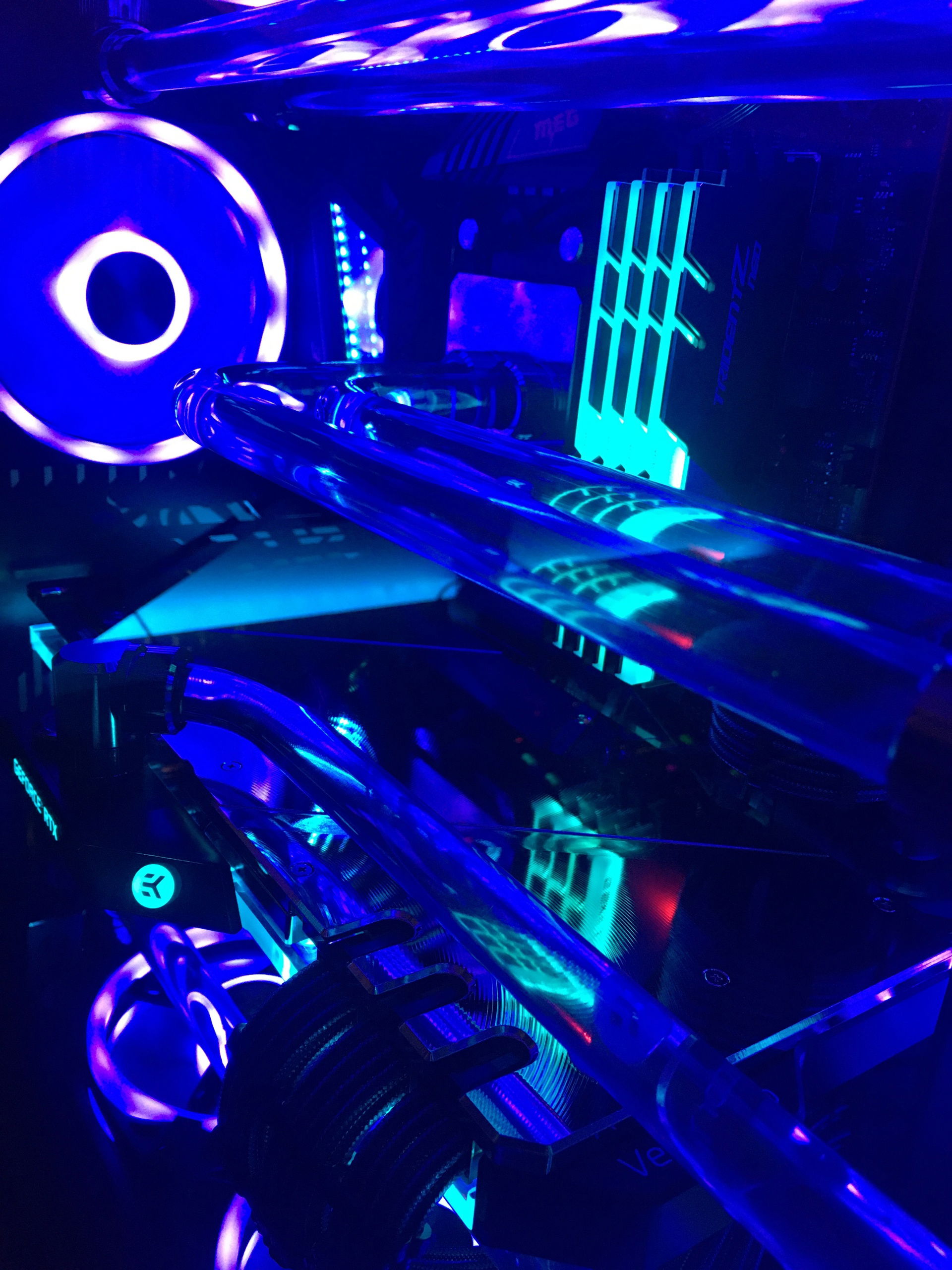 Aquarium » builds.gg