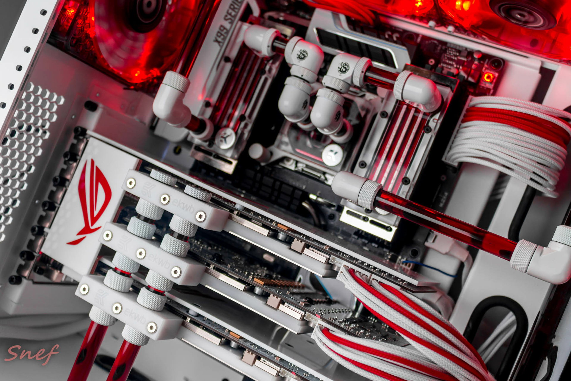 Bloody Angel » builds.gg