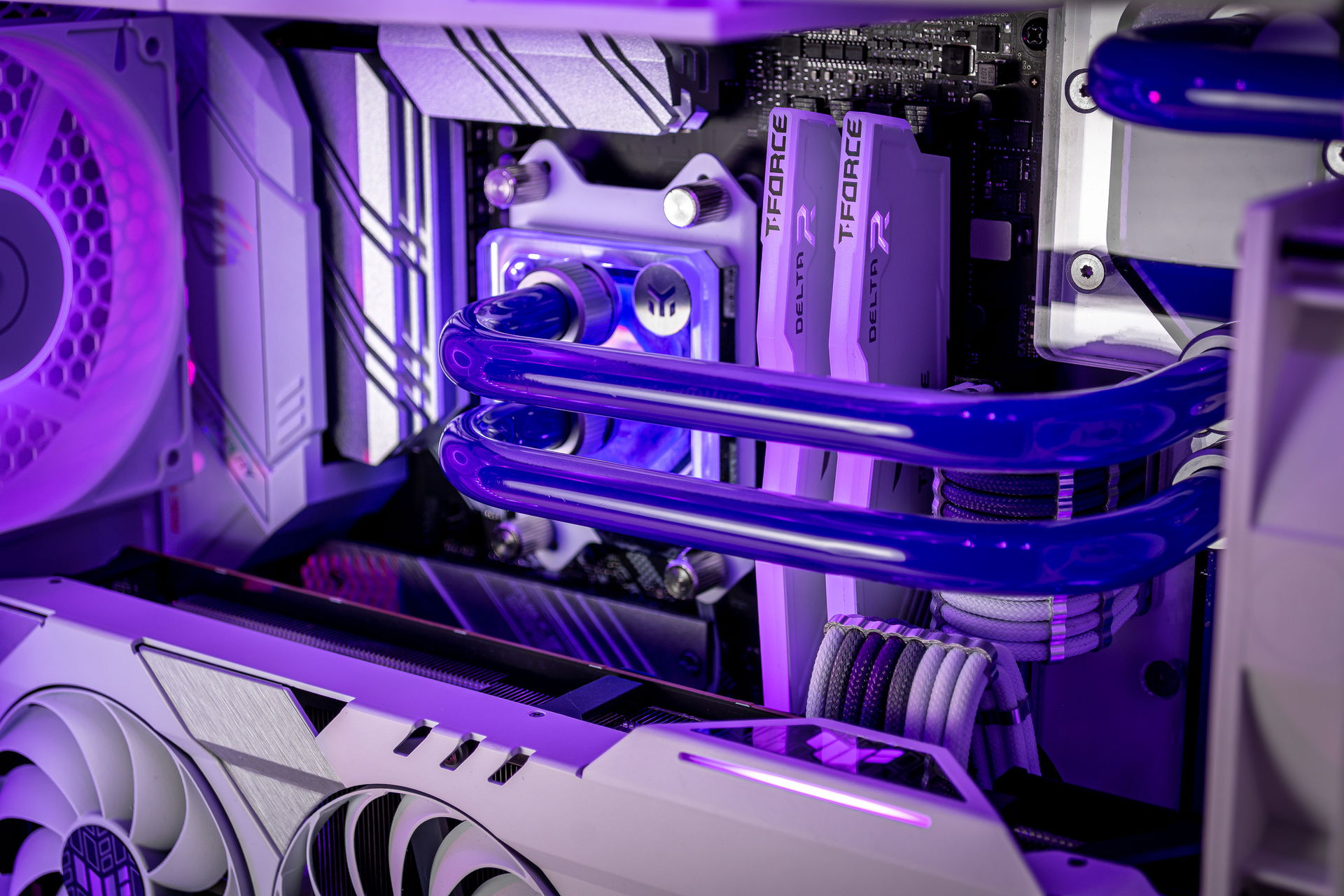 Asus Dream PC » builds.gg