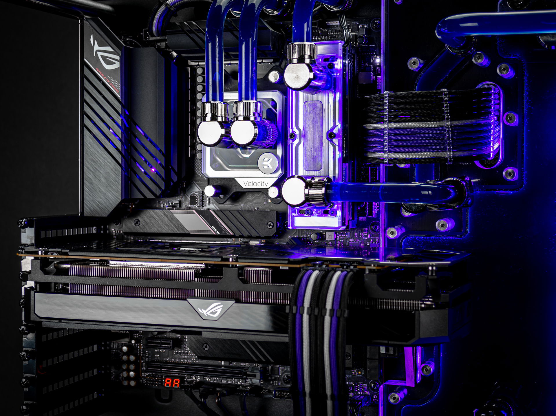 Xenon 54 » builds.gg