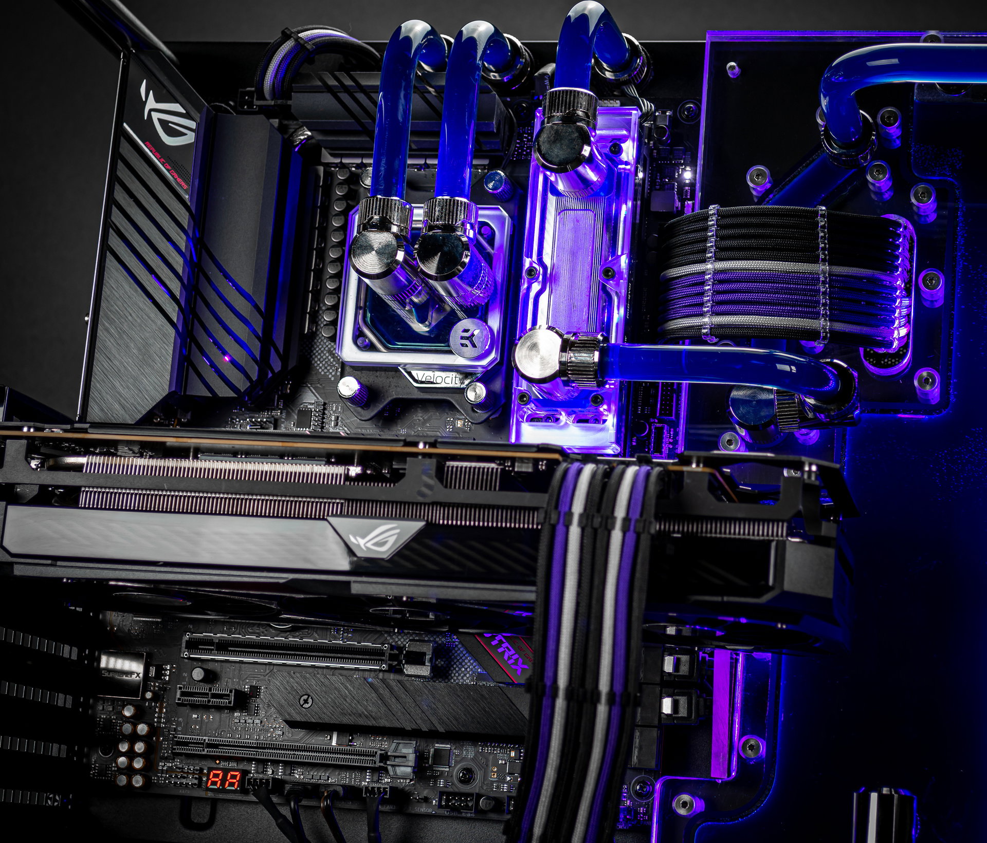 Xenon 54 » builds.gg