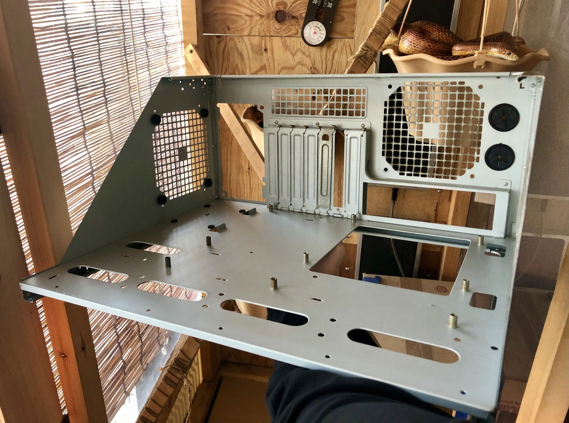 $10 Test Bench » builds.gg