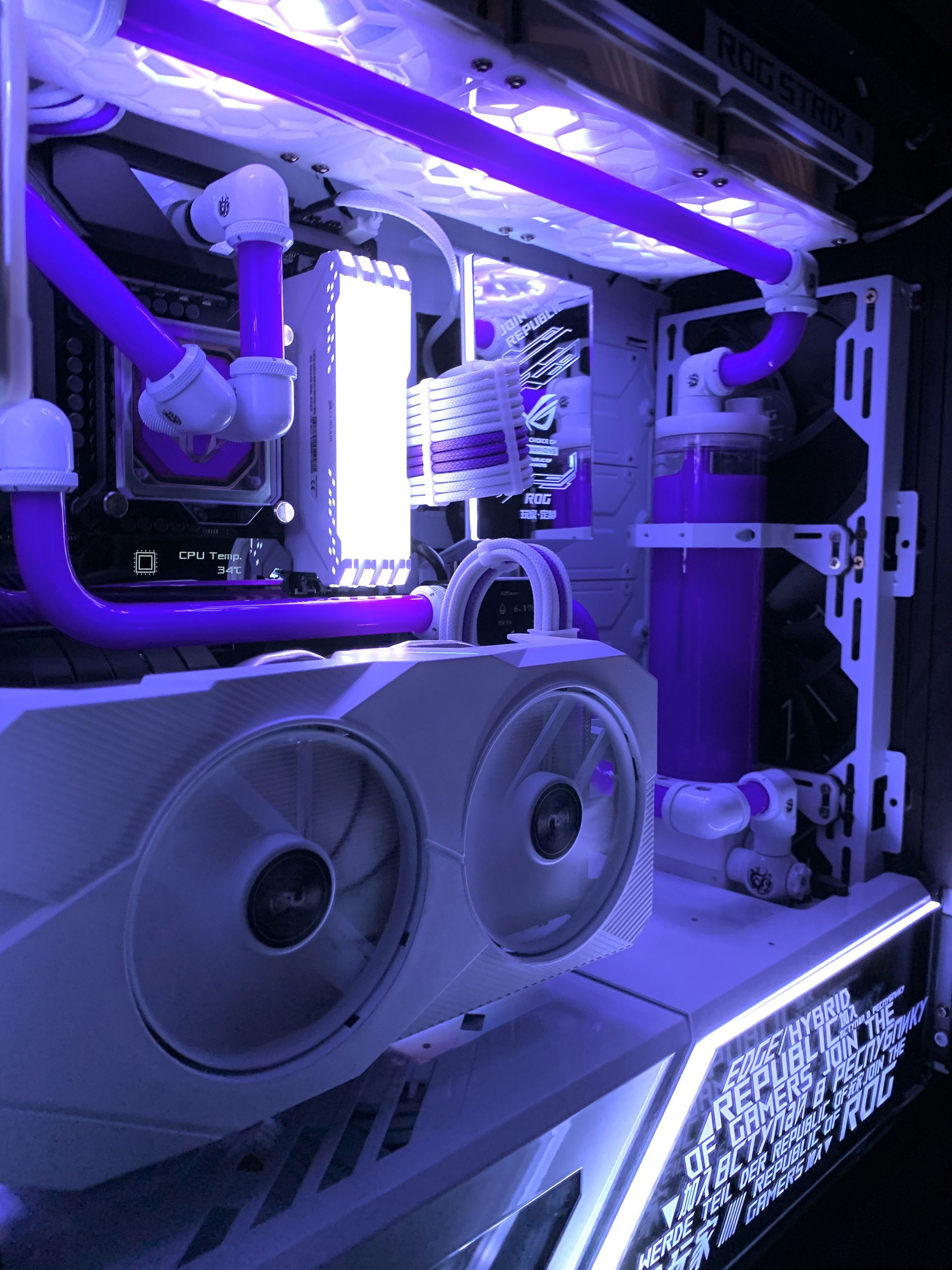 Asus White/Purple Theme » builds.gg