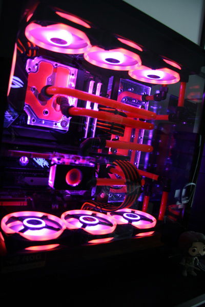 Client Build #56 " Rhopilema " Open waterway case build. » builds.gg
