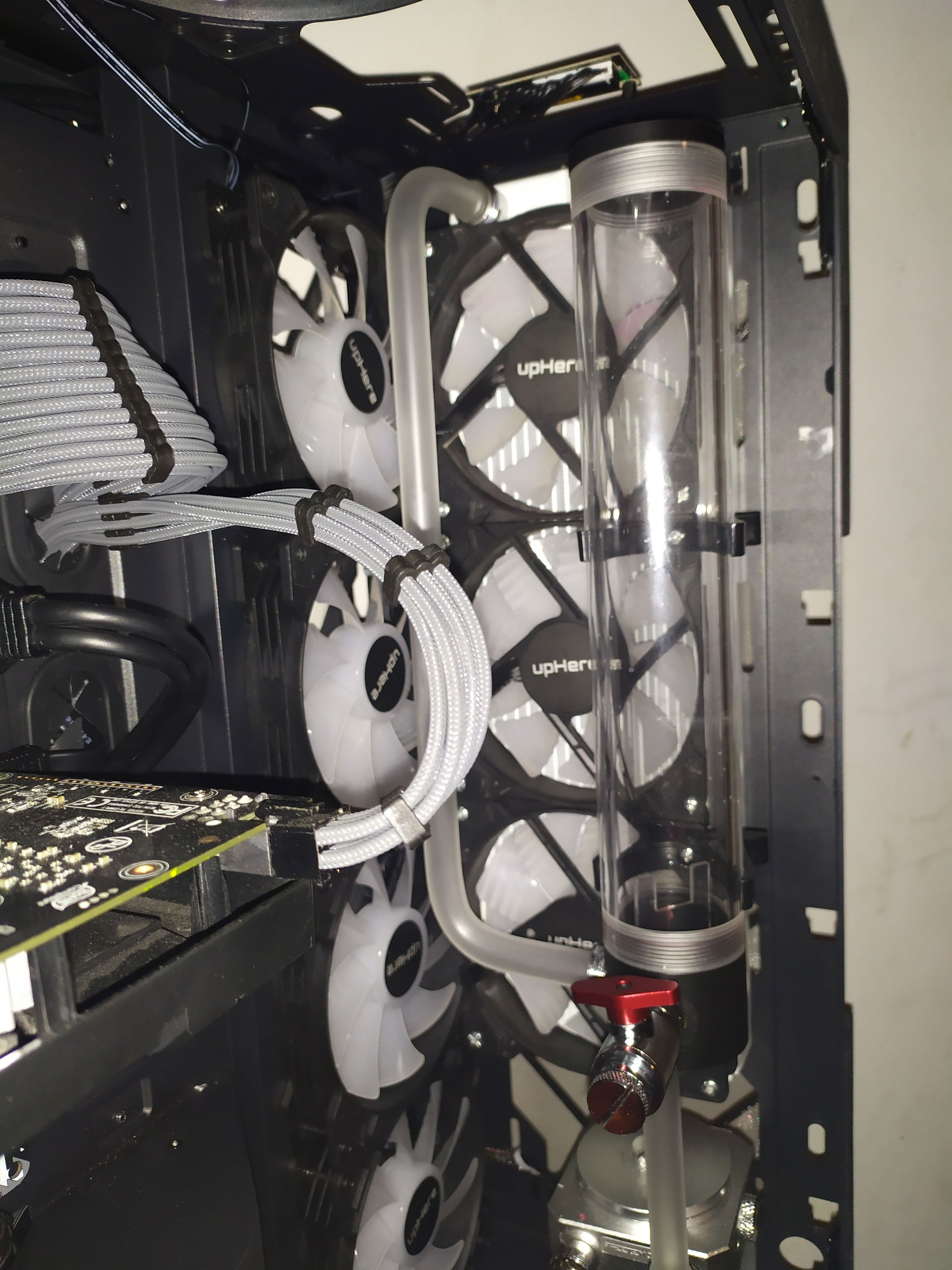 Project Red Queen » builds.gg