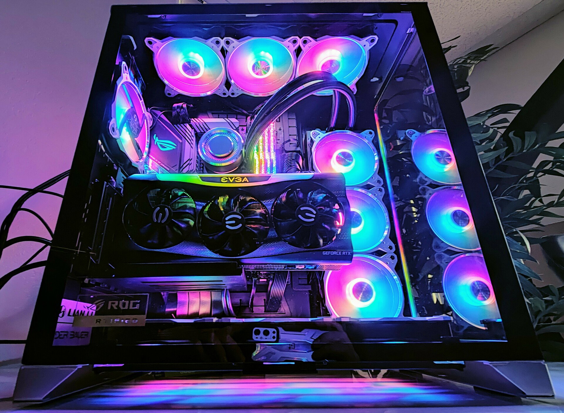 Royal RGB » builds.gg