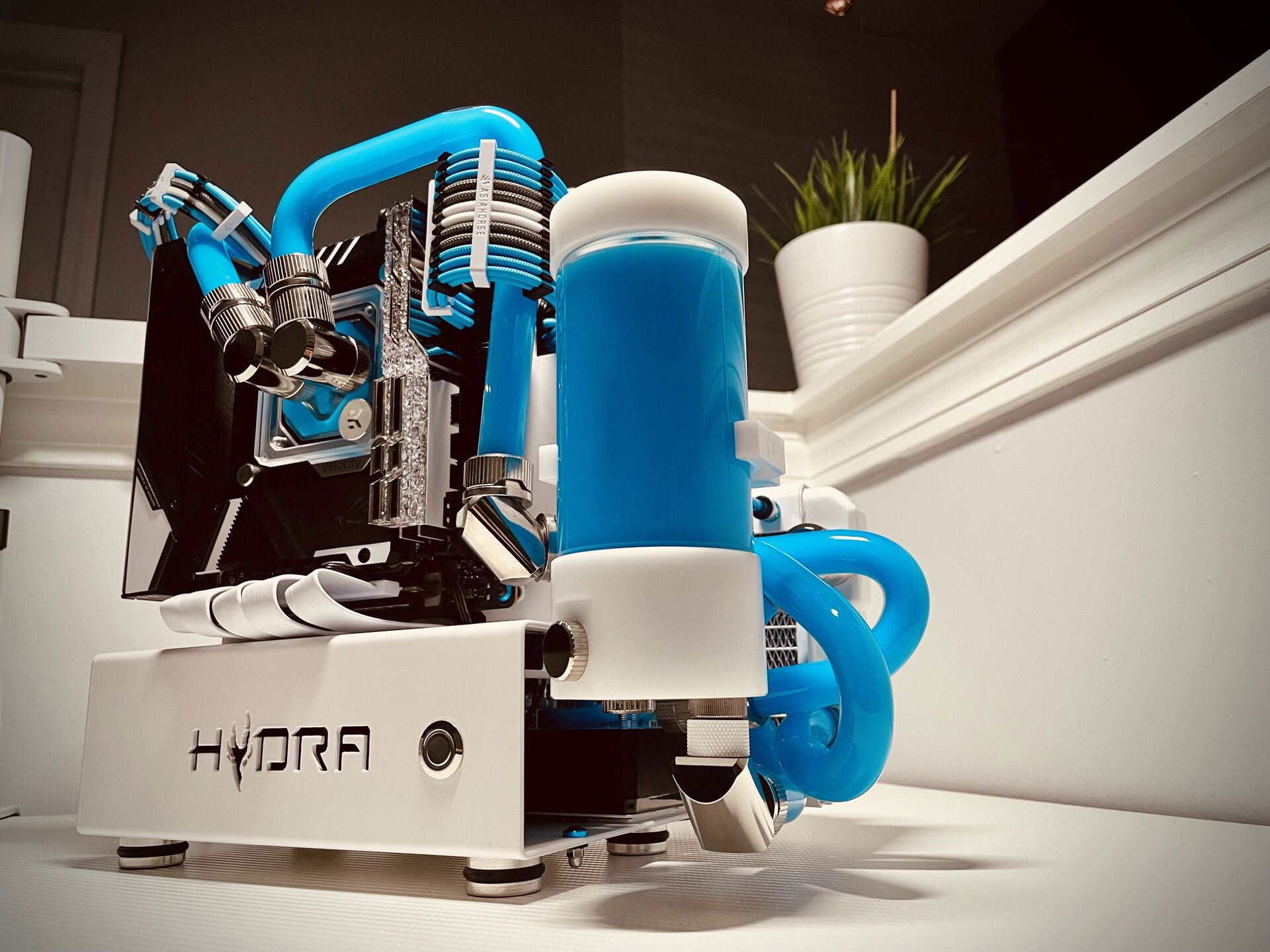 Hydra Build » builds.gg