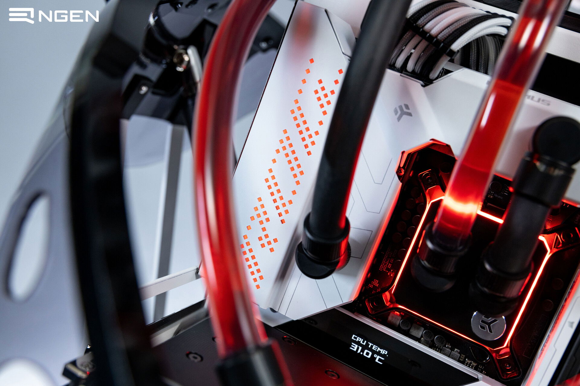 WINBOT - ASUS ROG Z690 Launch Build » builds.gg
