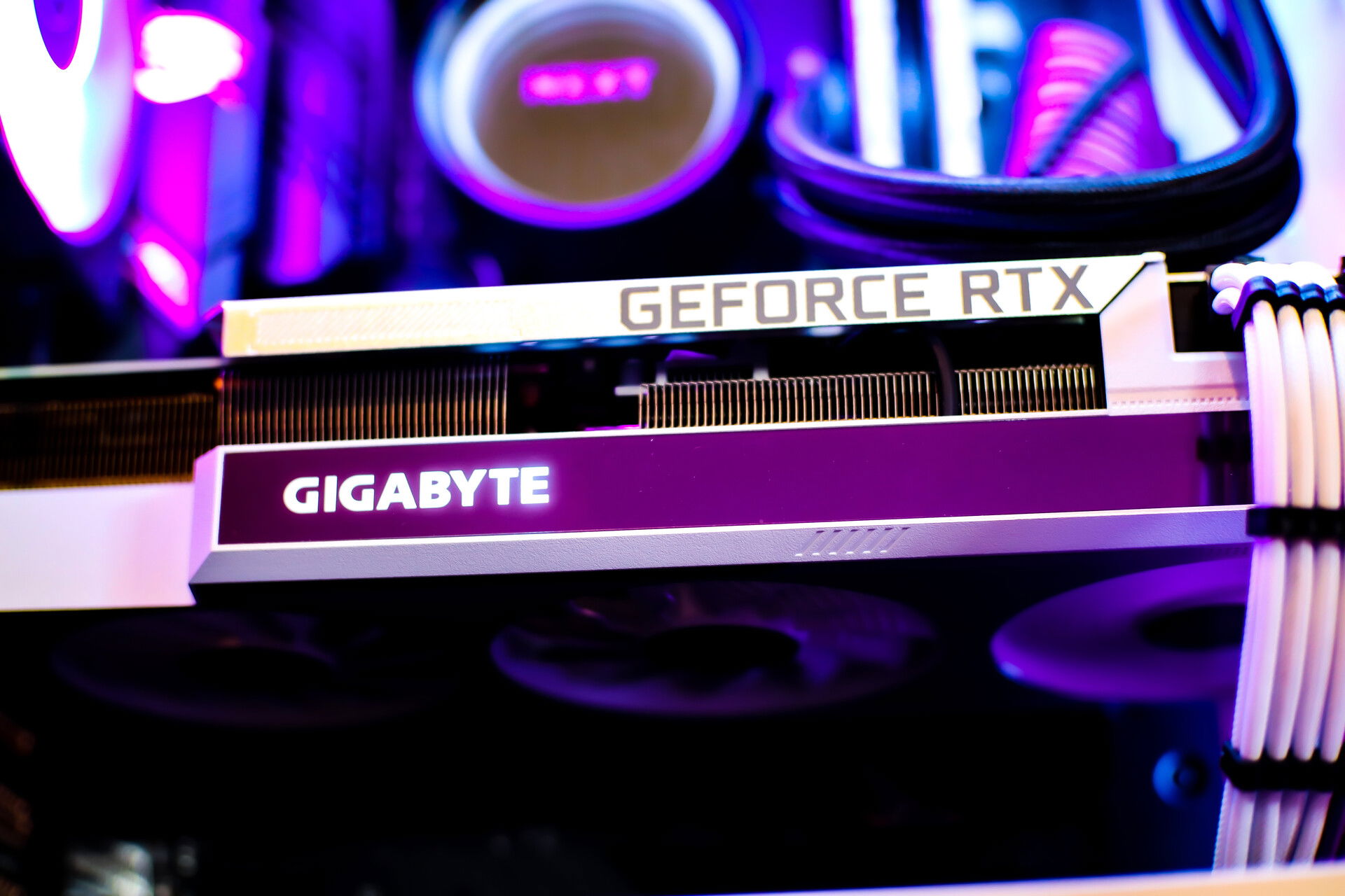 Purple Heart PC » builds.gg