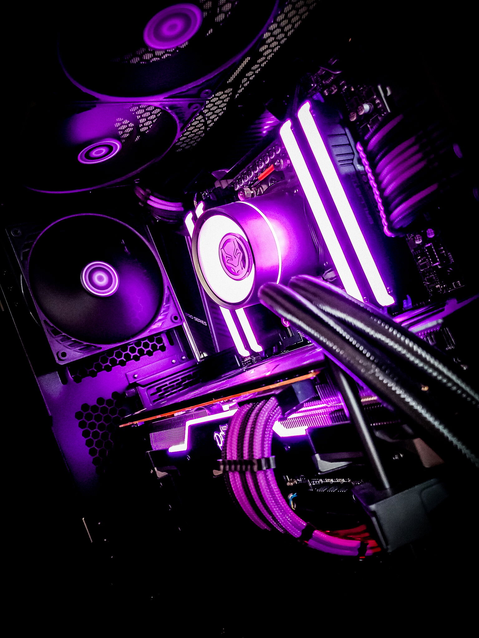 Black Panther » builds.gg