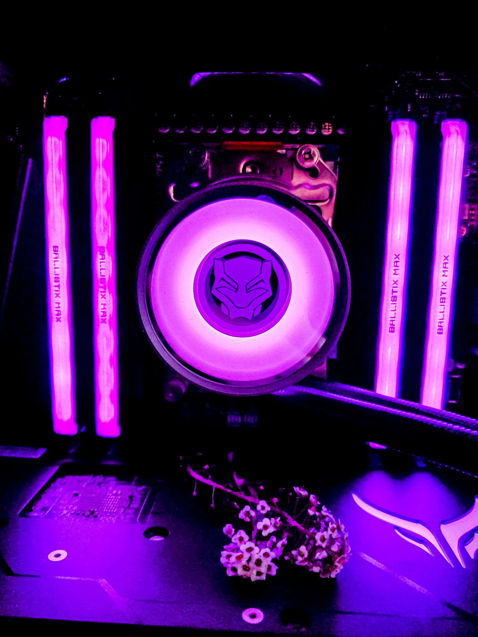 Black Panther » builds.gg