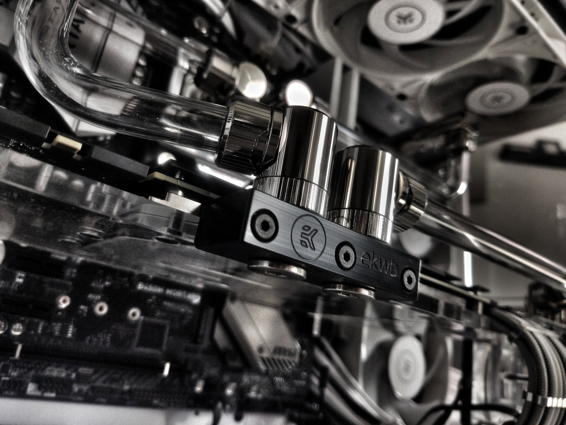 White Flow » builds.gg
