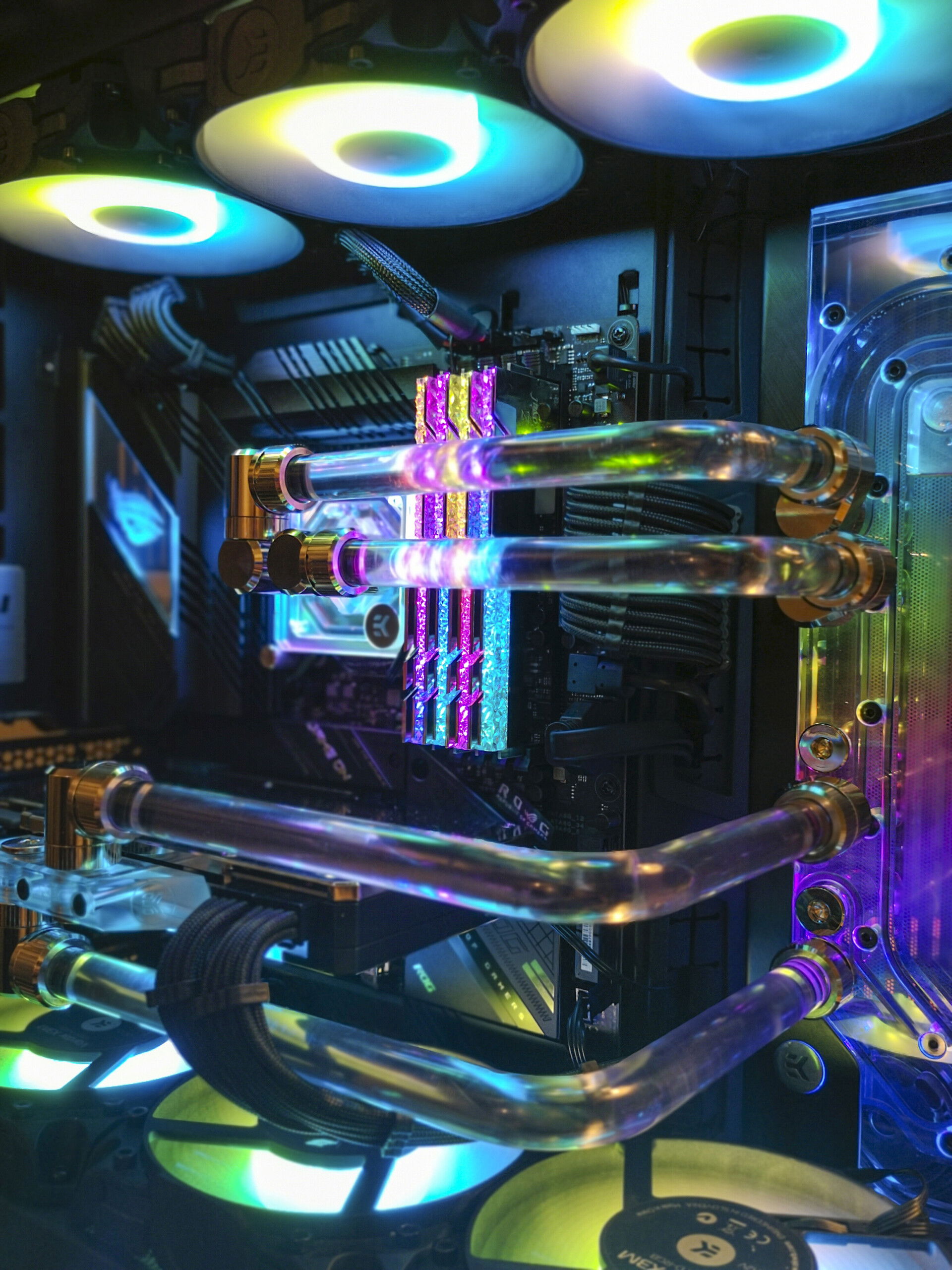 Project Rainbow » builds.gg