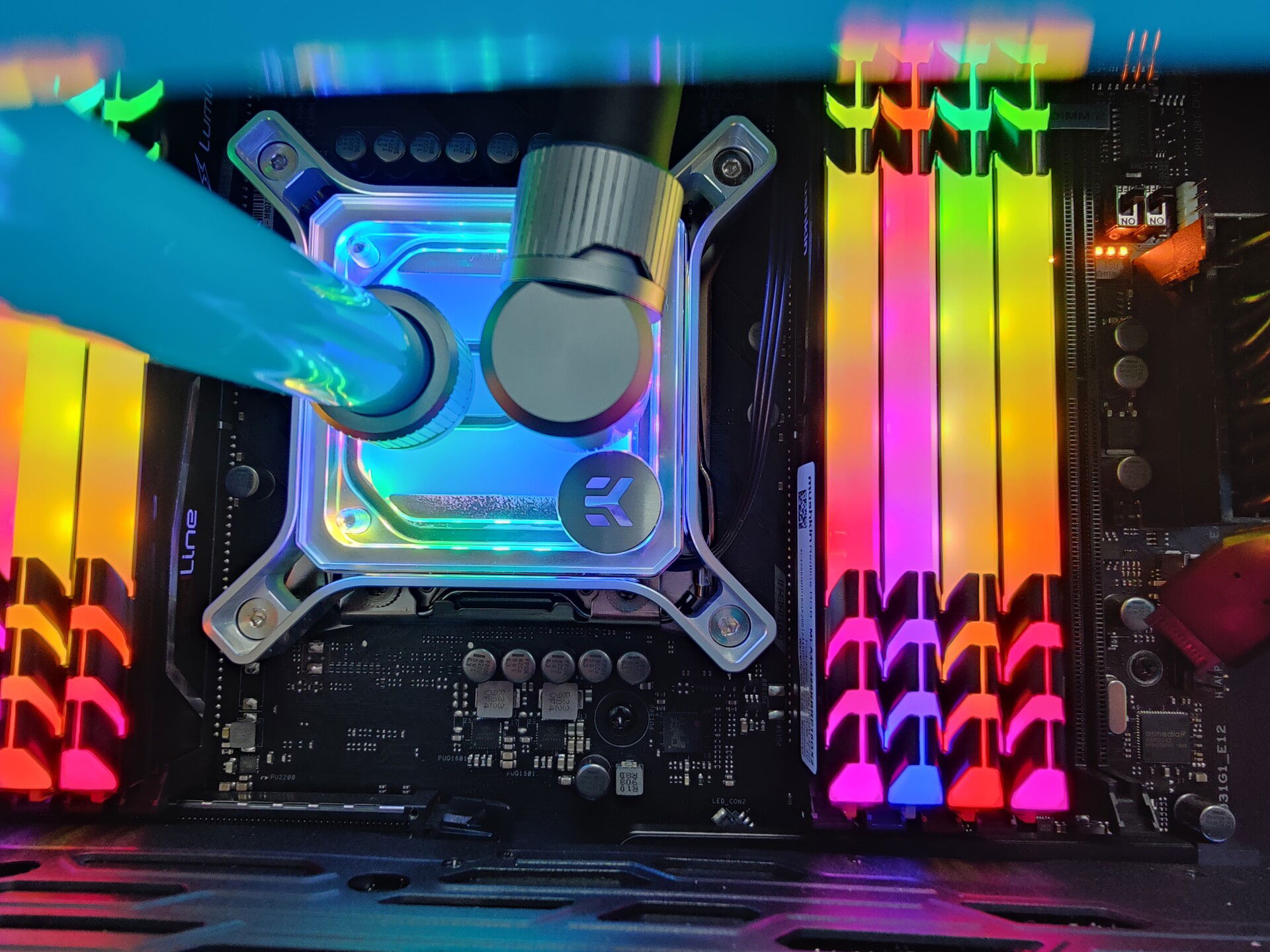 Phanteks Enthoo Elite - Dual Loop/Distro Plate » builds.gg