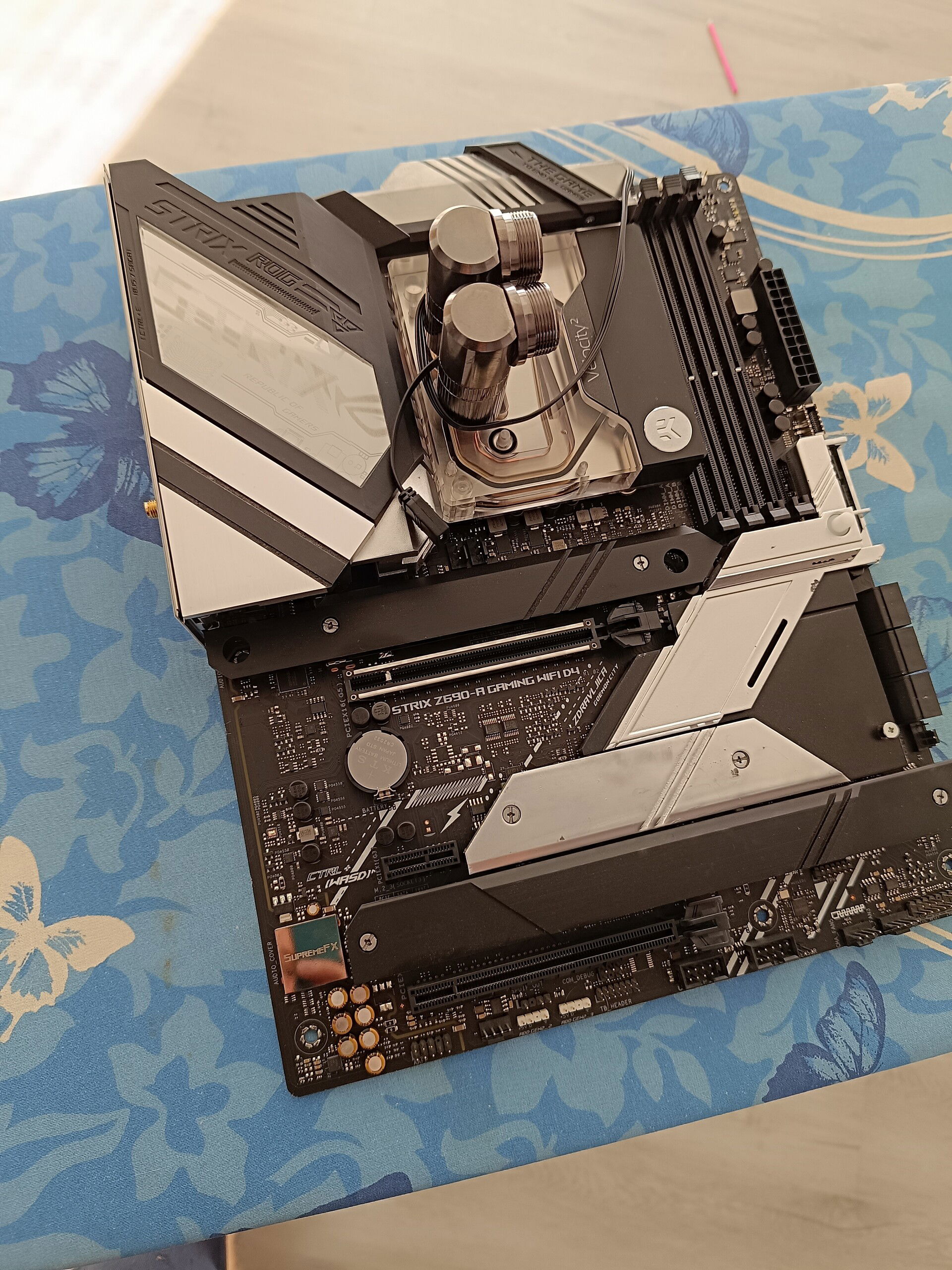 Black / Red » builds.gg