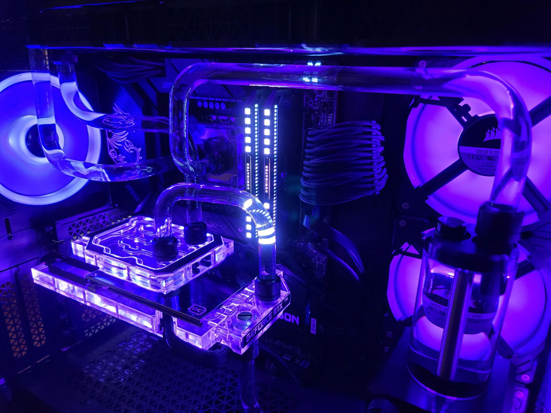 5000x First Loop Build » builds.gg