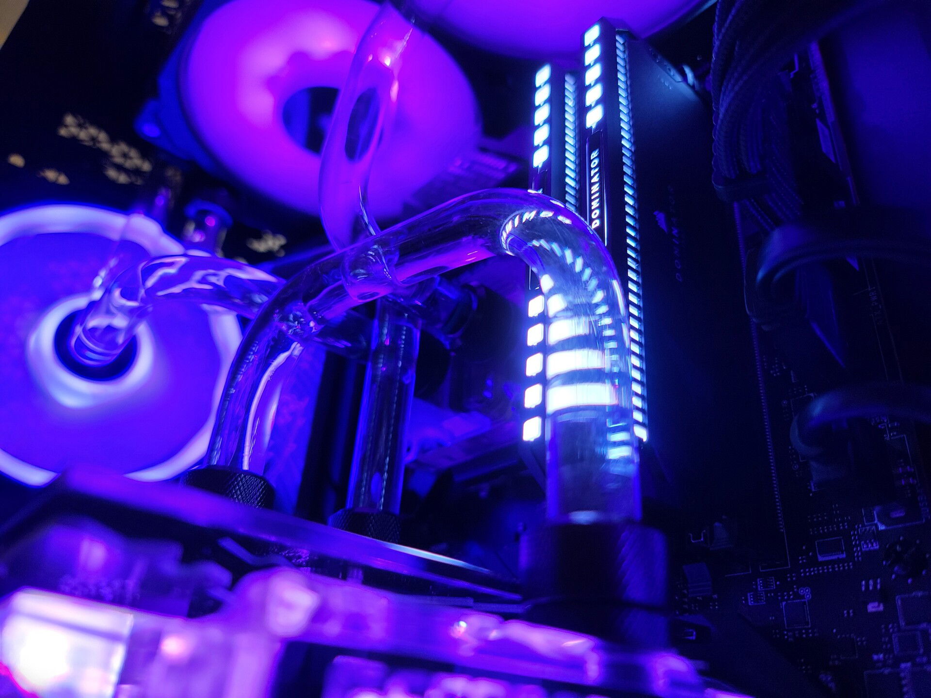 5000x First Loop Build » builds.gg