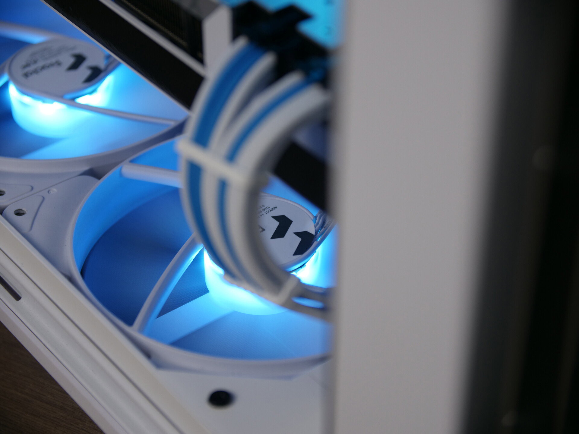 Torrent Compact » builds.gg