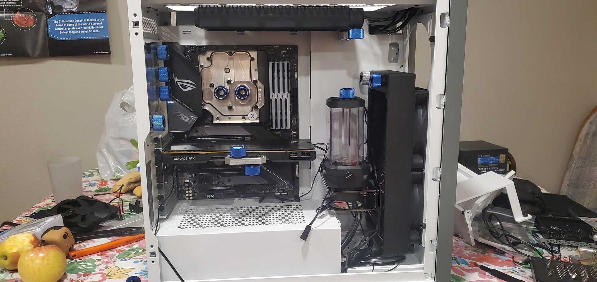 Spider Gwen PC » builds.gg