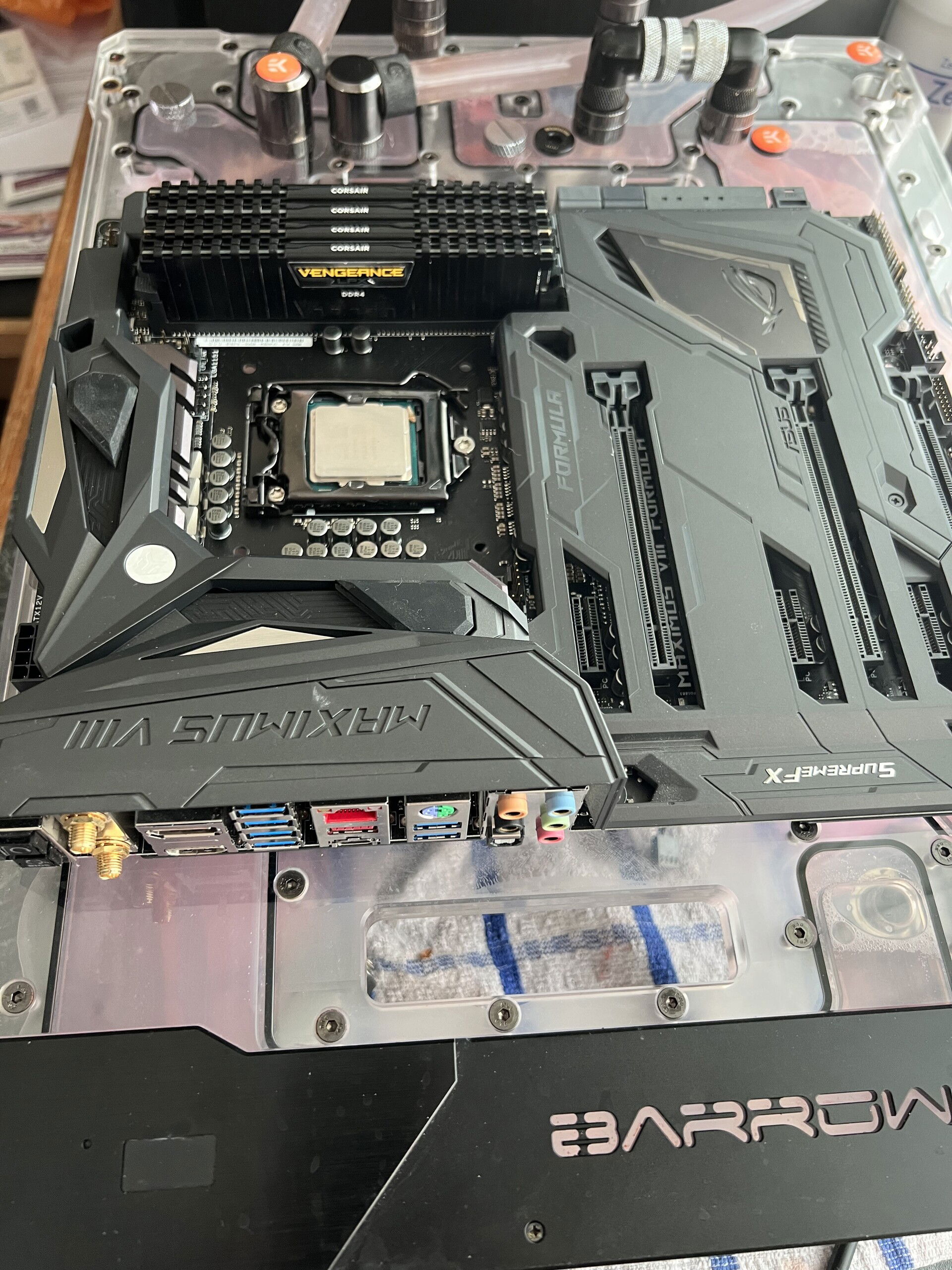 Barrow Rhopilema » builds.gg