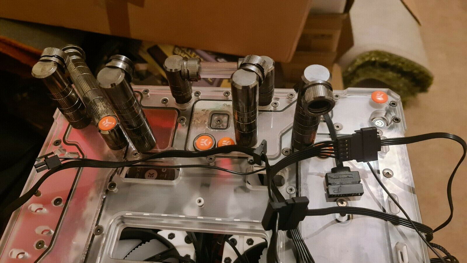 Barrow Rhopilema » builds.gg