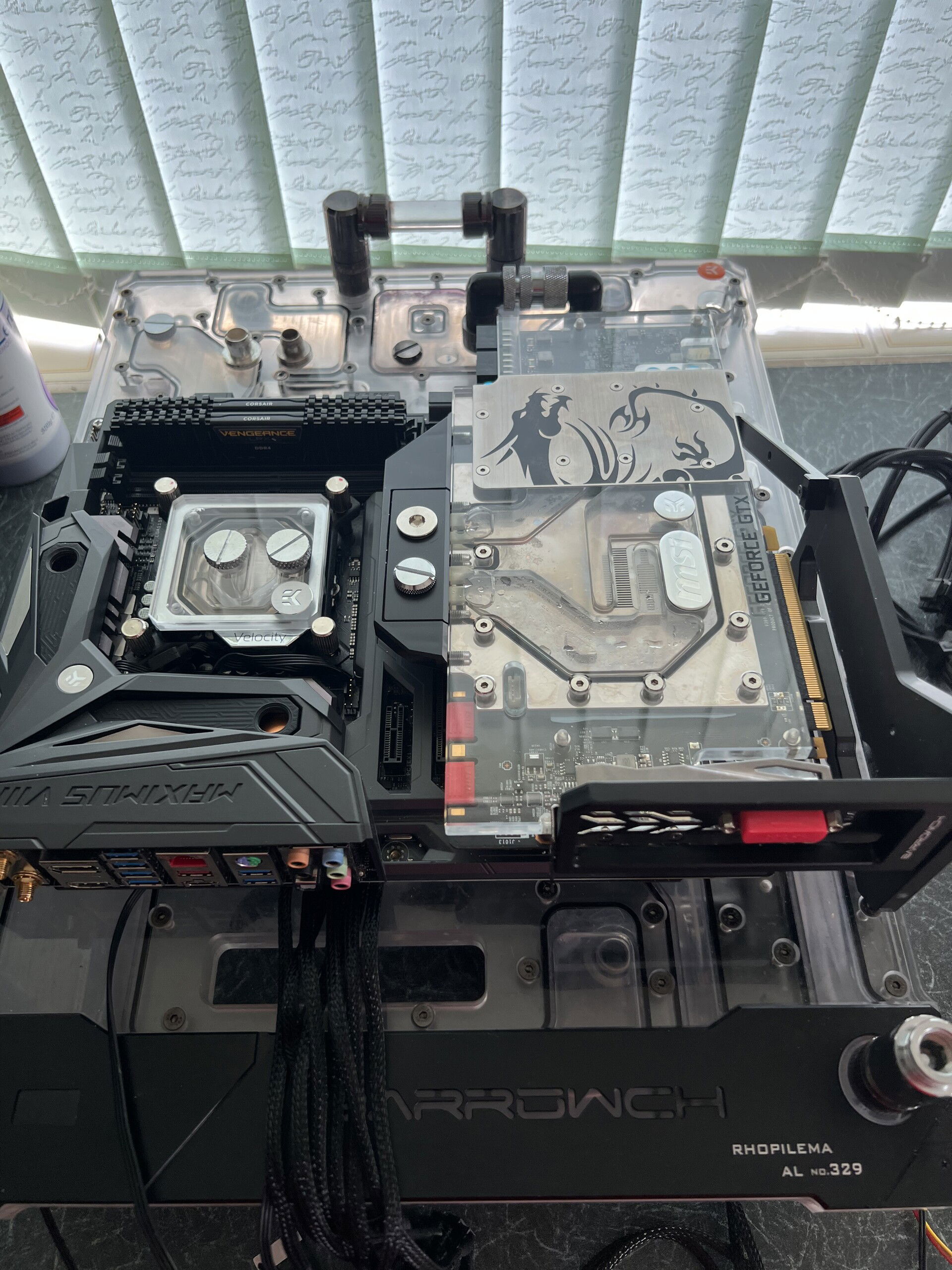 Barrow Rhopilema » builds.gg