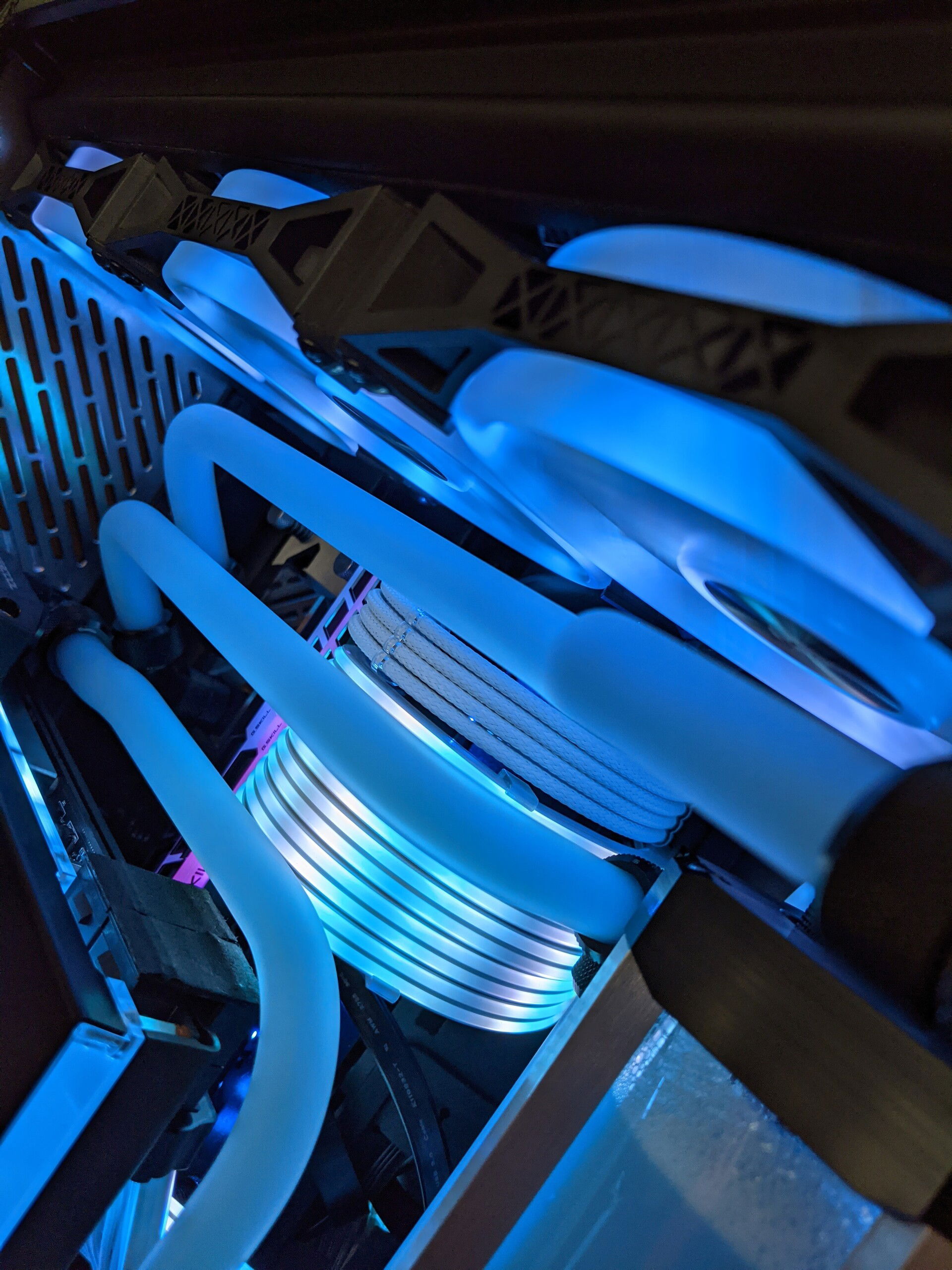 Neon Concentrate » builds.gg