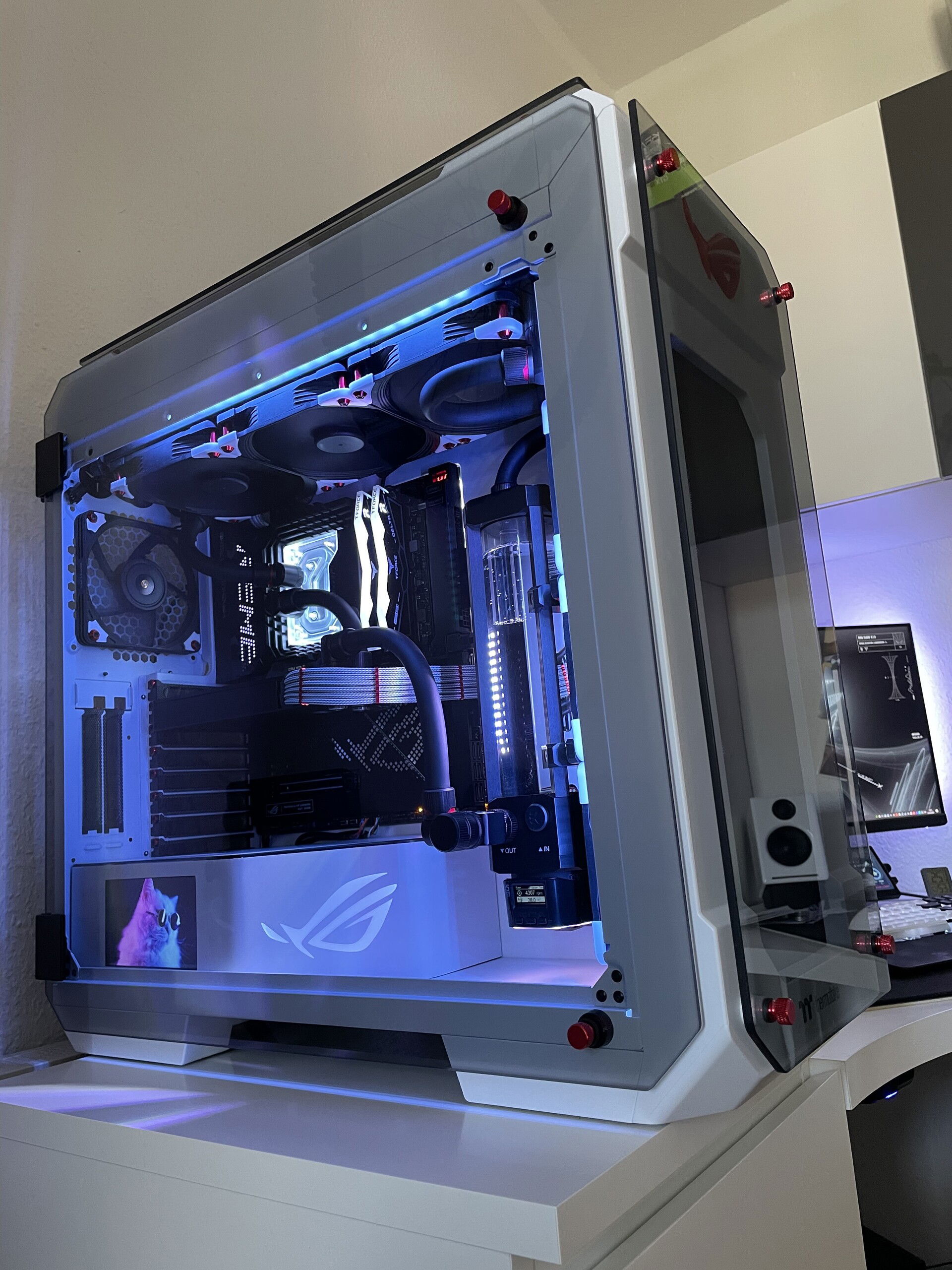 clean white sNow » builds.gg