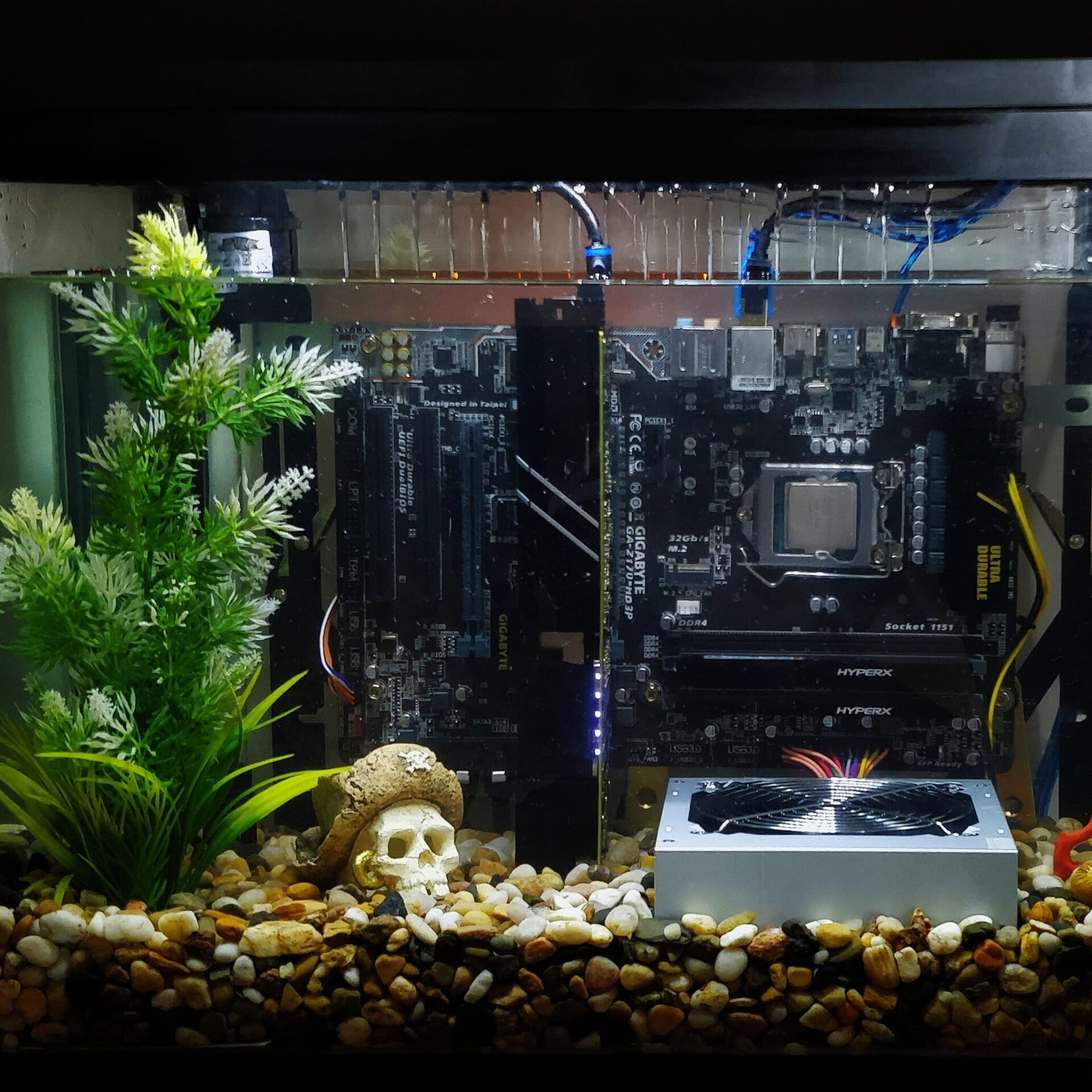 Acquarium Pirates PC » builds.gg