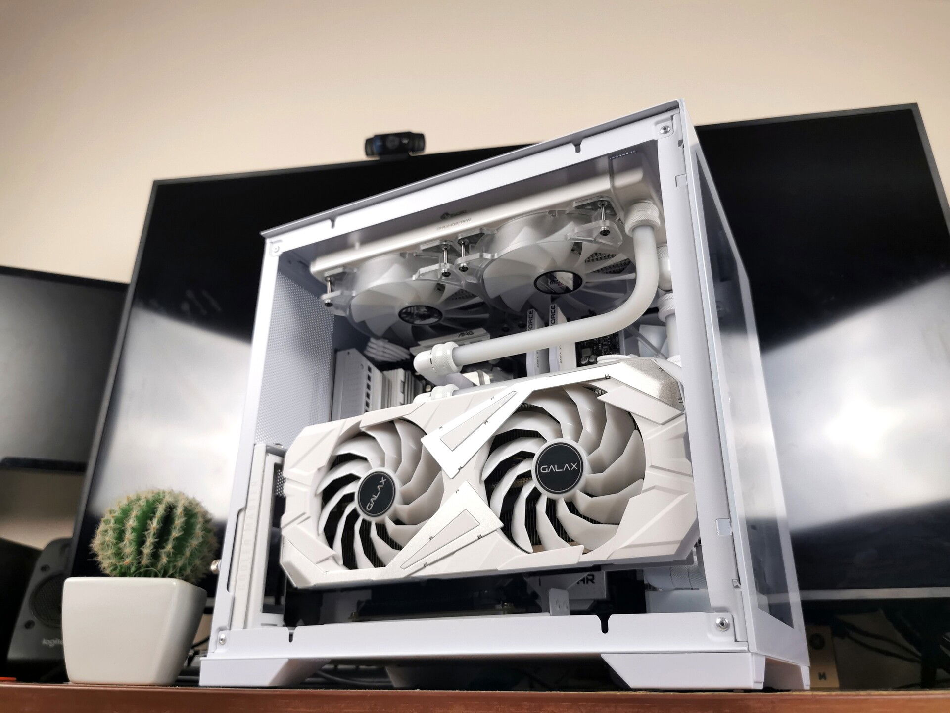 White VXM » builds.gg