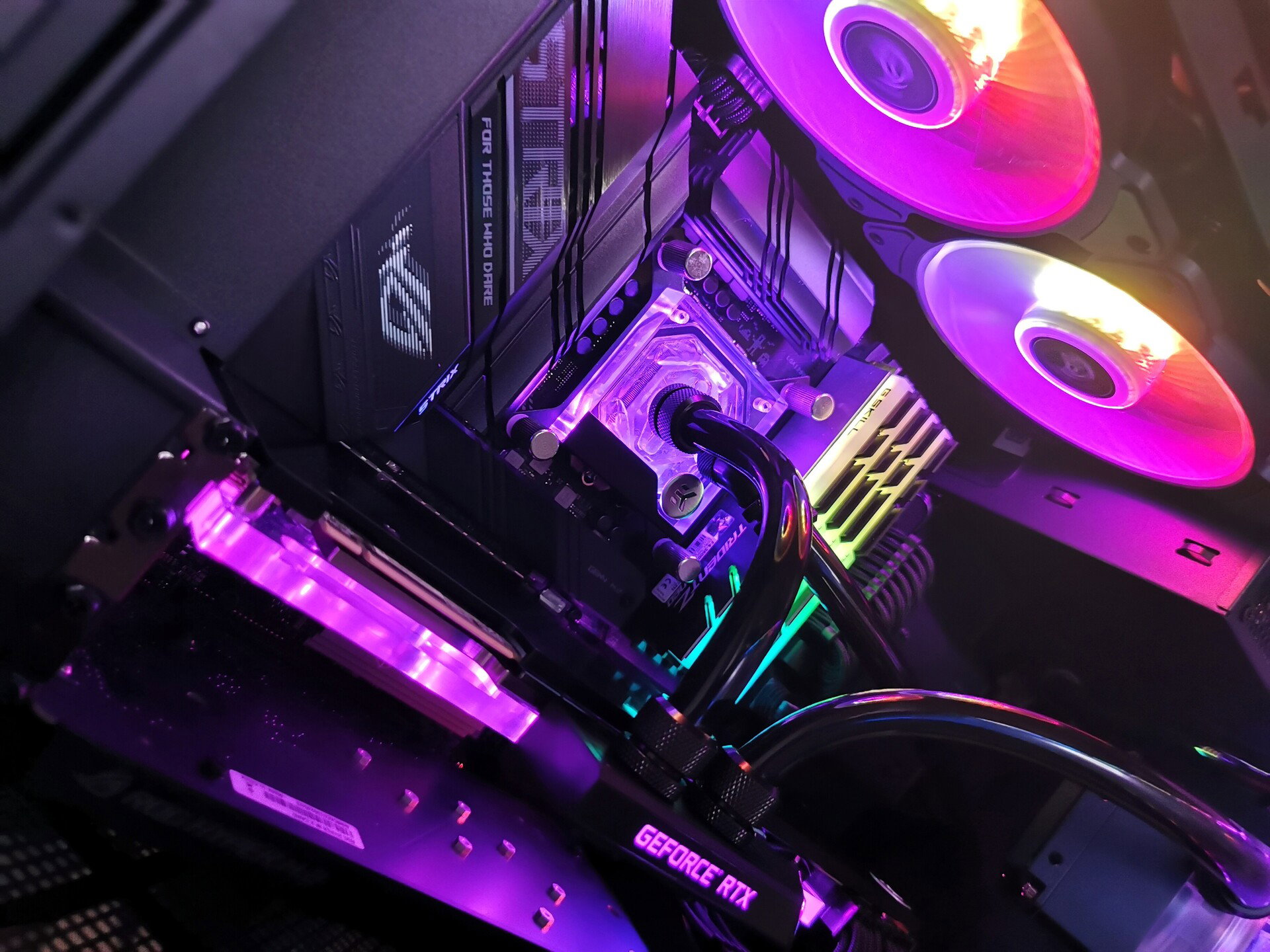 Dark - an unassuming Alta G1M build » builds.gg