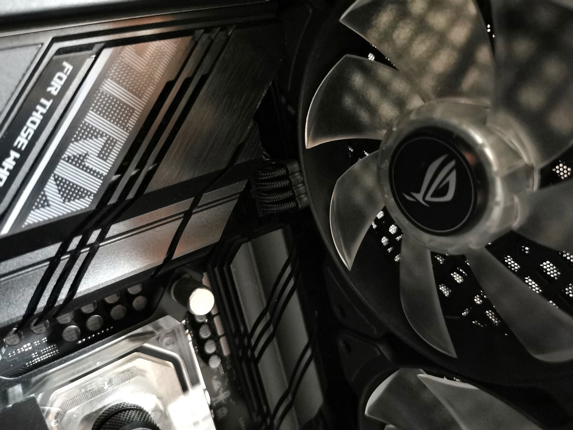 Dark - an unassuming Alta G1M build » builds.gg