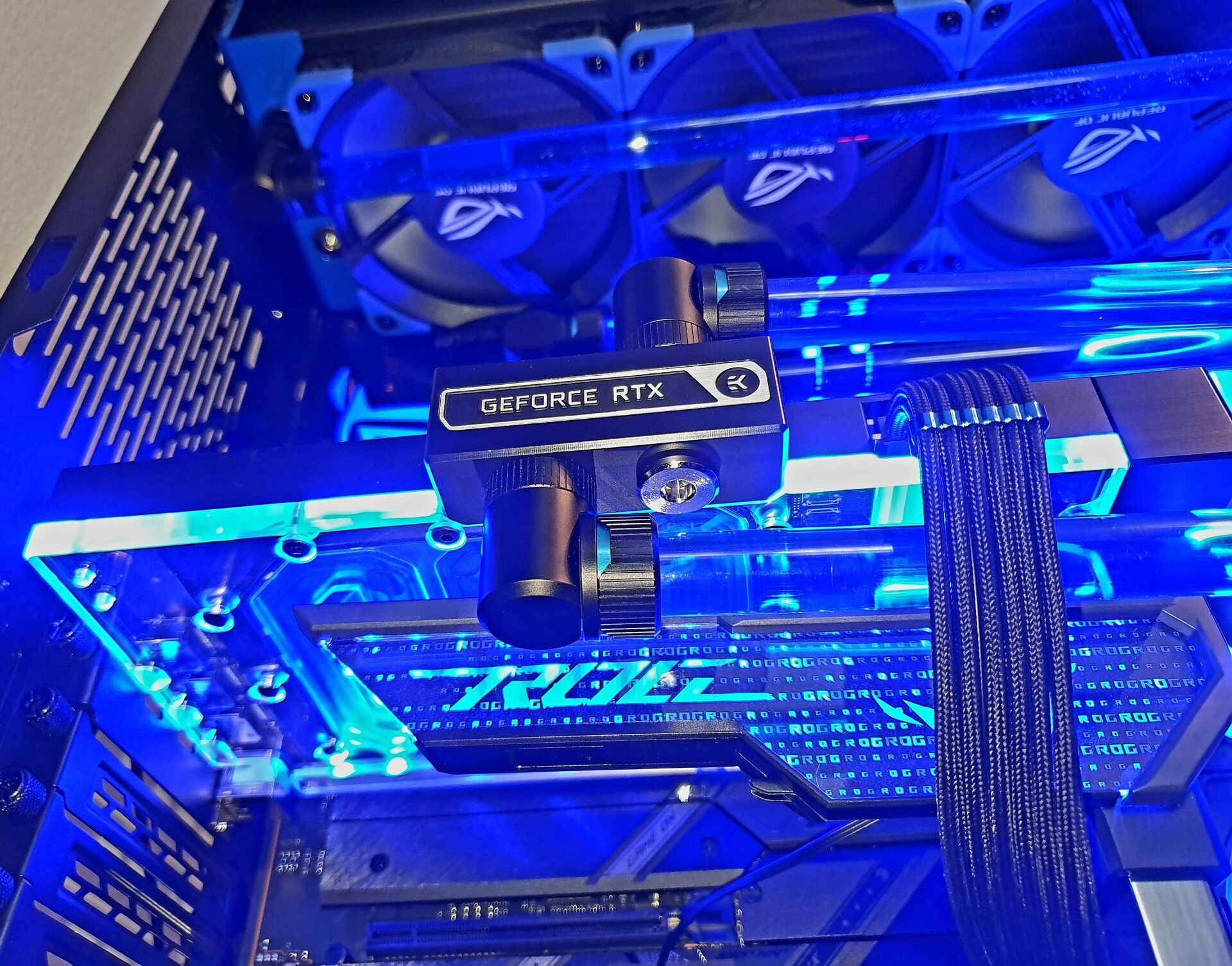 Black and blue build » builds.gg