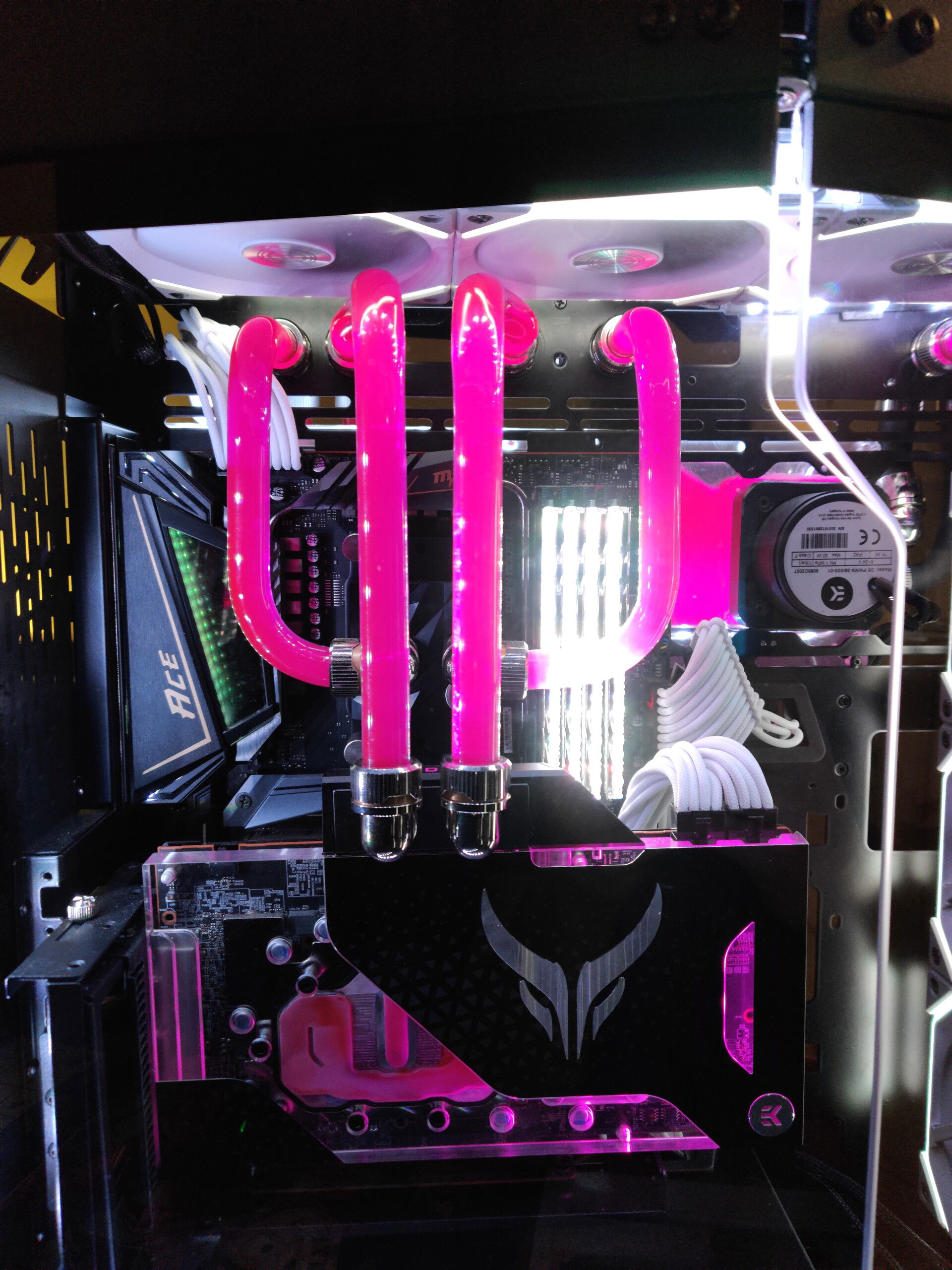 The Pink Devil » builds.gg