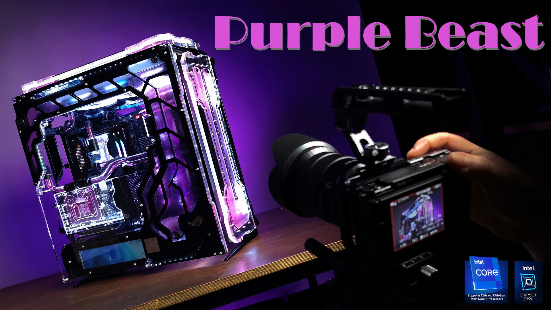 Singularity - Purple Beast » builds.gg