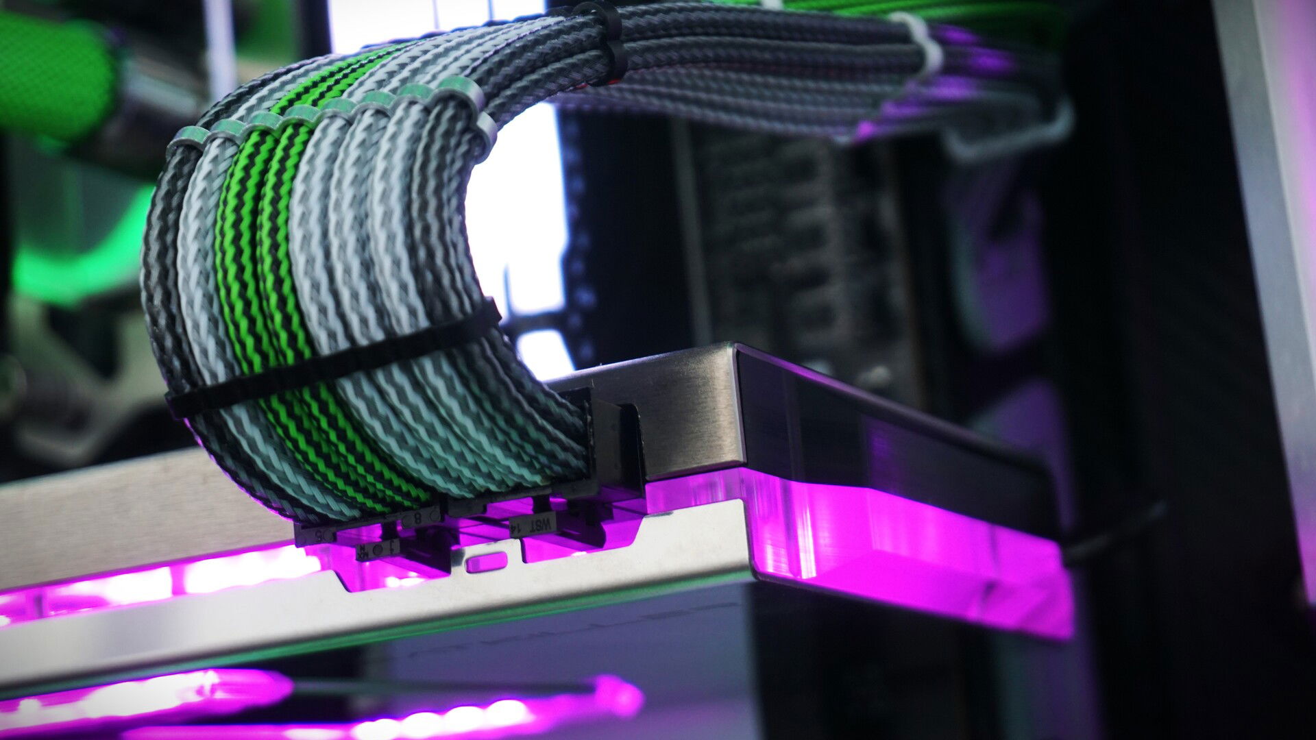 Wee Beastie » builds.gg