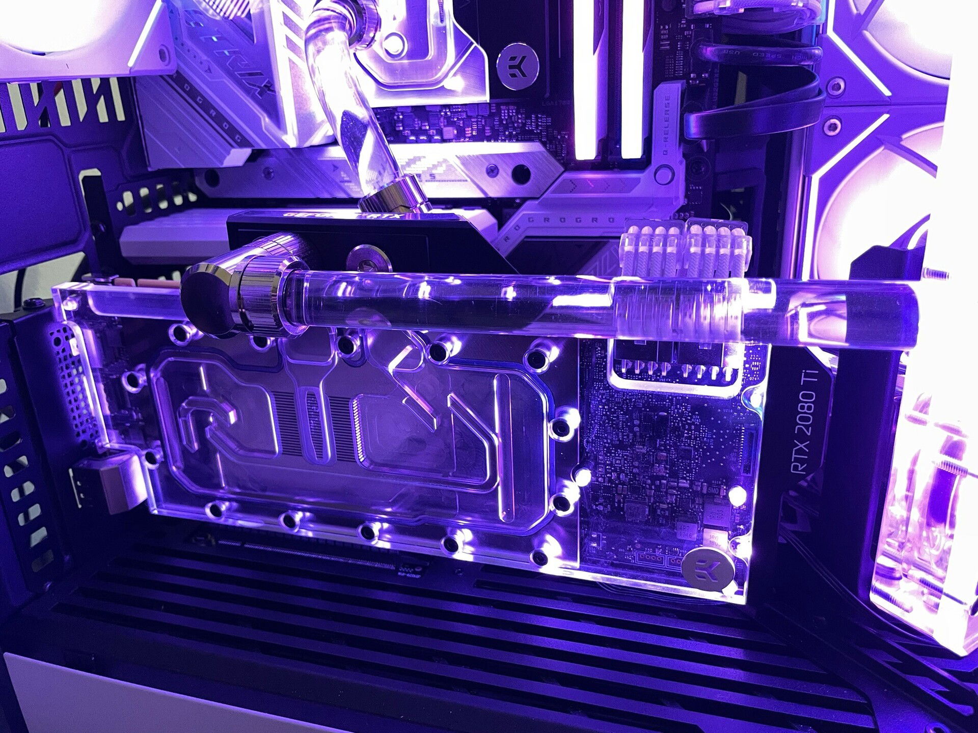 All White Hyte Y60 - Full Custom Loop » builds.gg