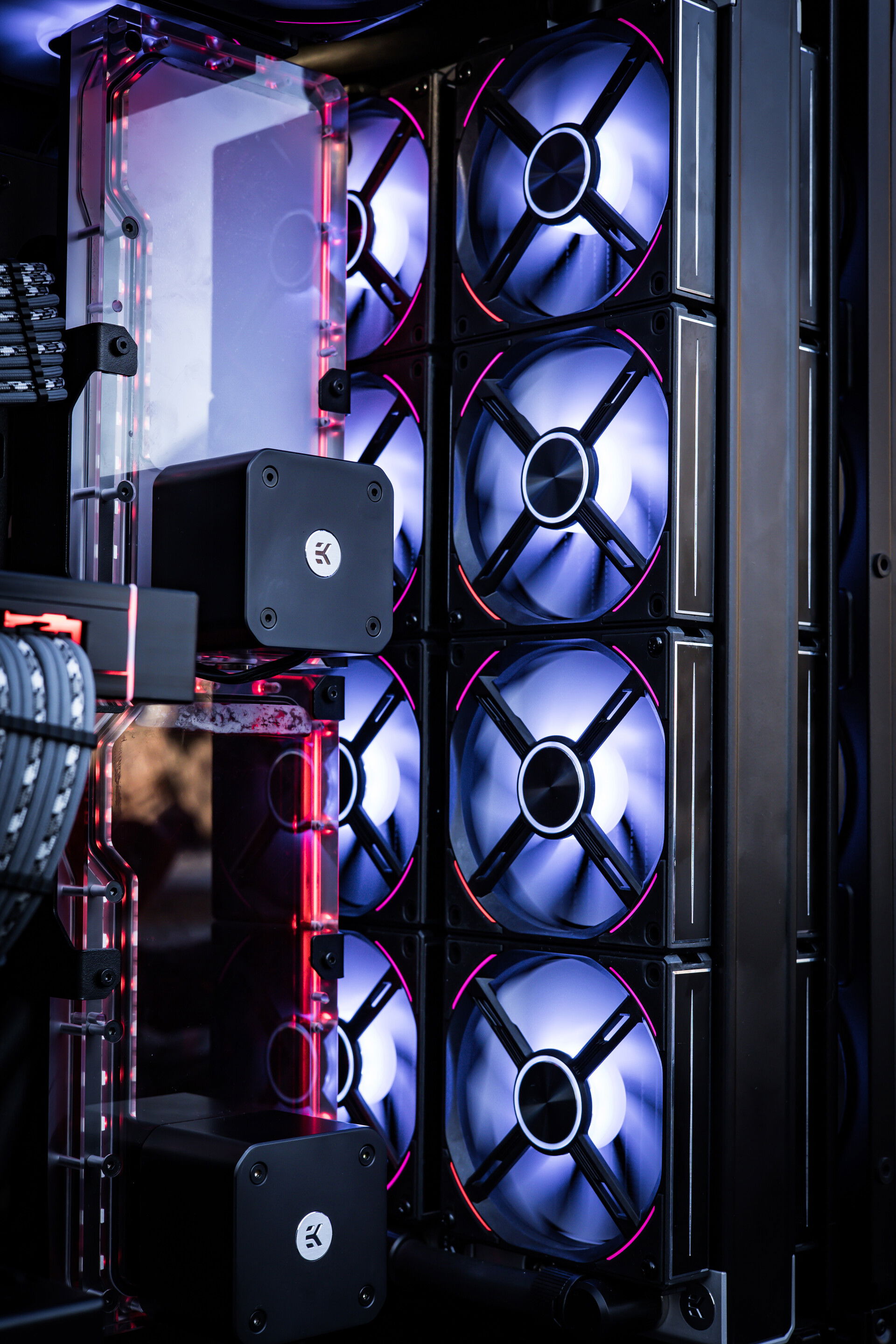 The Viking » builds.gg