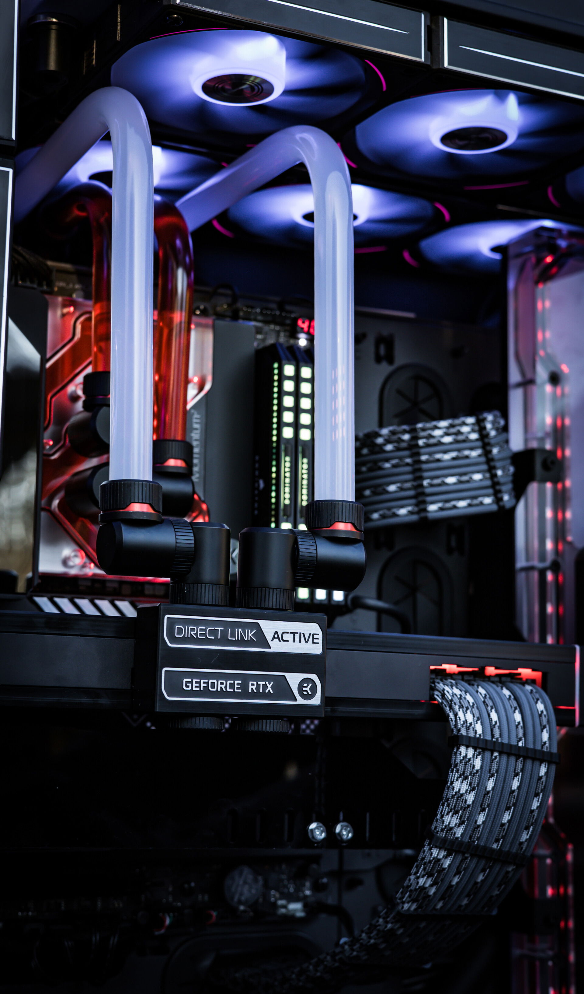 The Viking » builds.gg