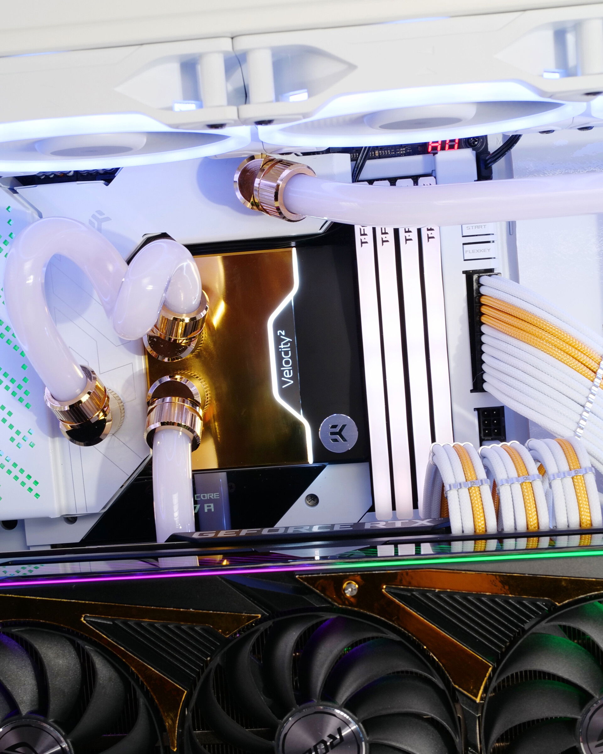 Liquid Gold » builds.gg