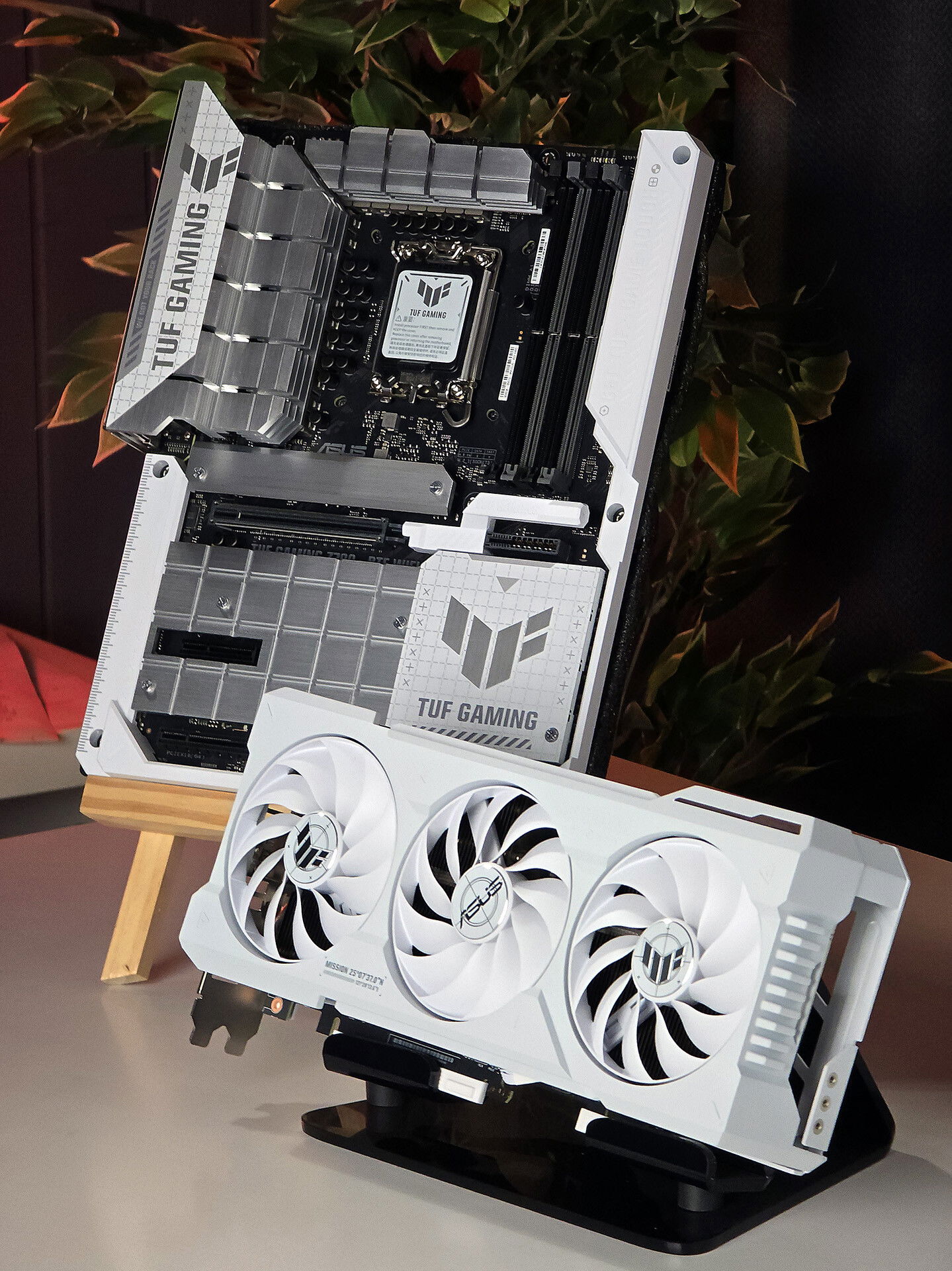 Asus BTF custom build by neSSa » builds.gg