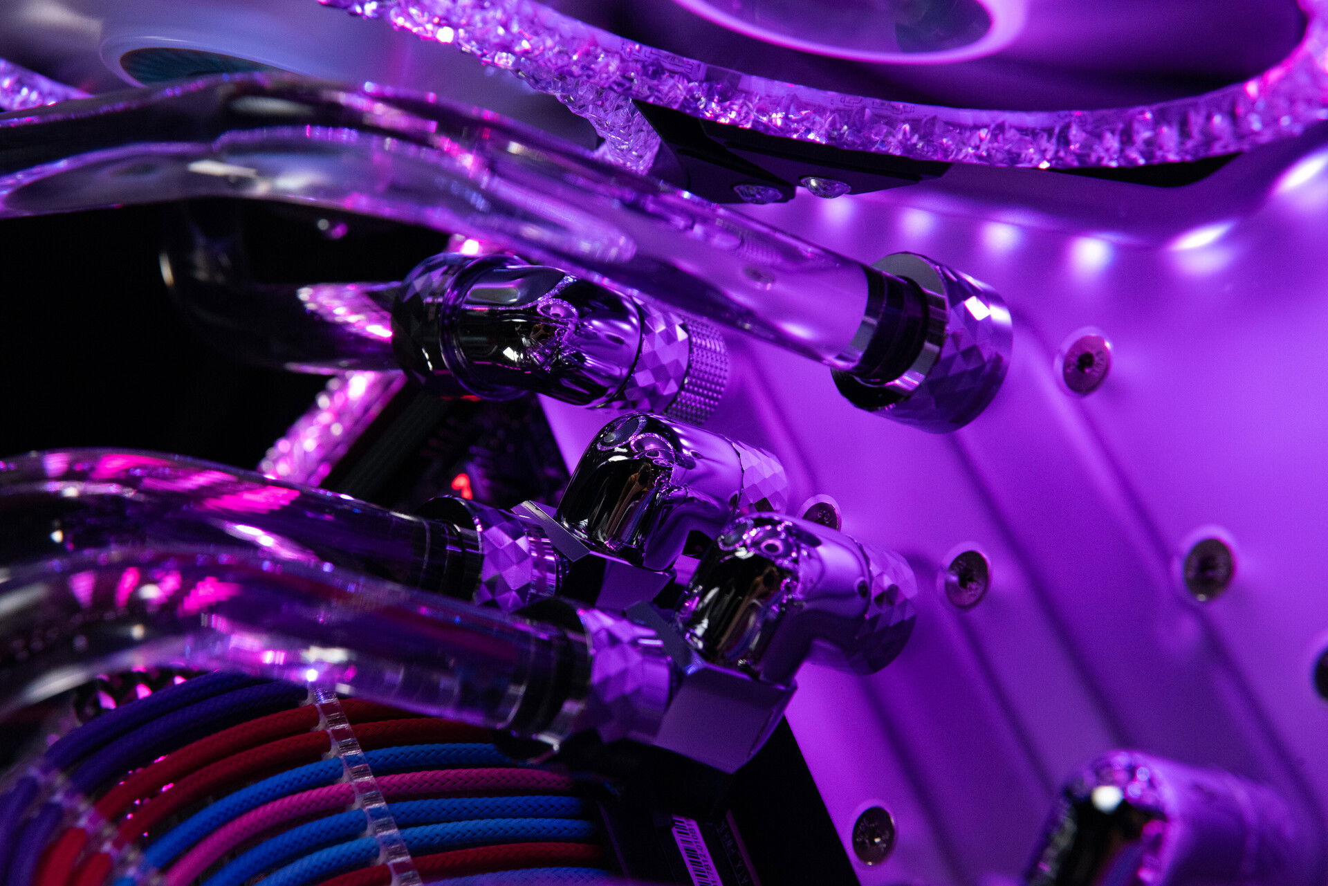 Cougar Conquer: custom loop, custom cables, clean front&back » builds.gg