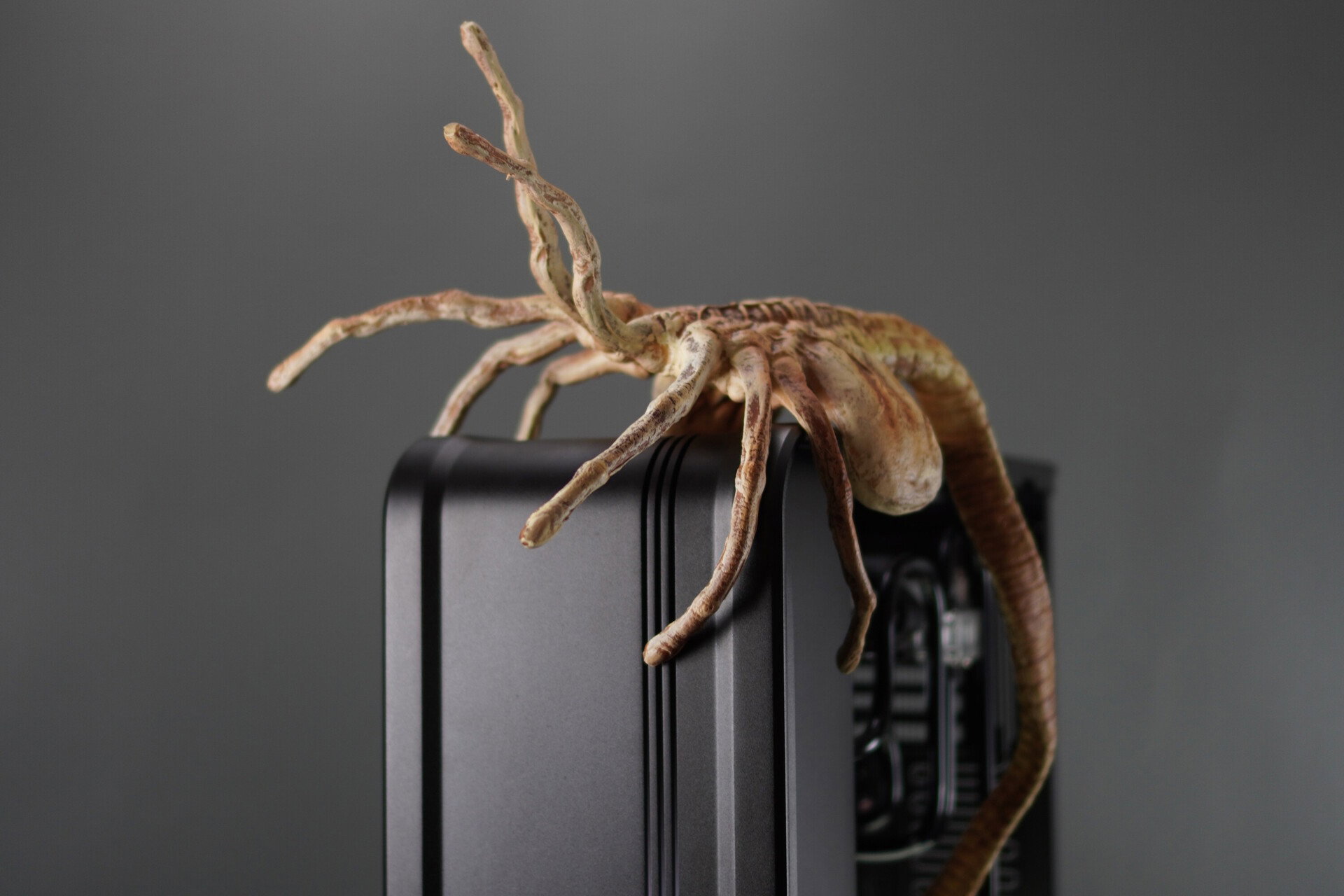 XFORMA MBXenomorph MKII » builds.gg