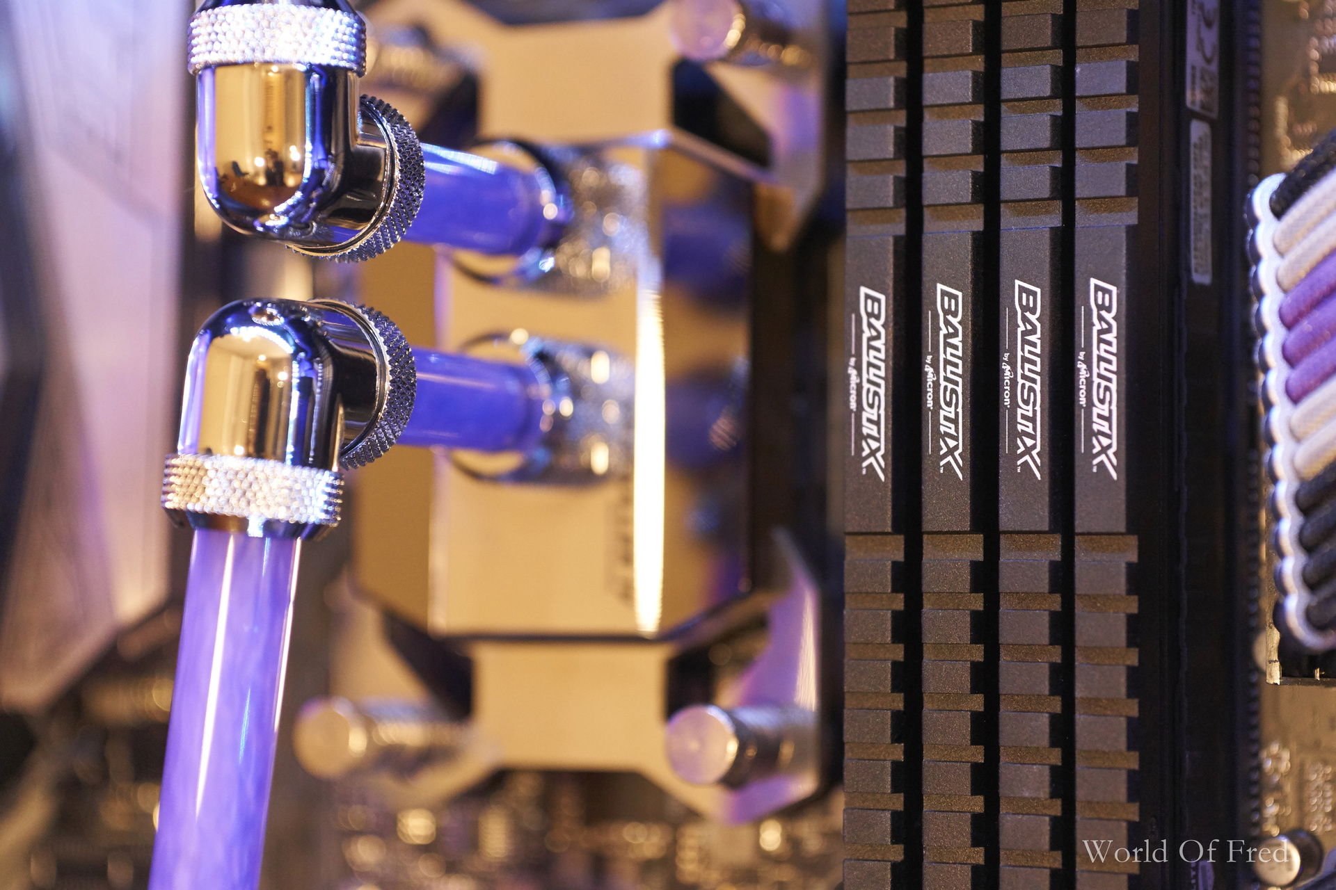 Octarine » builds.gg