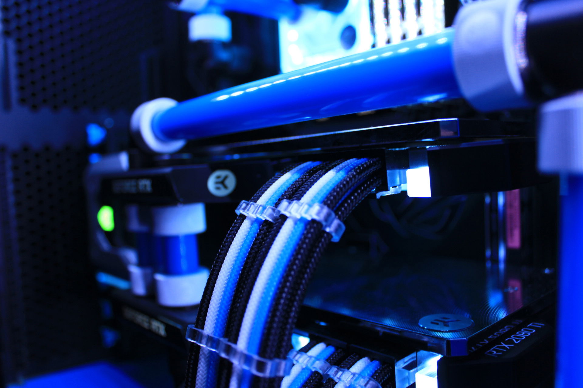 Intel 50 years anniversary » builds.gg