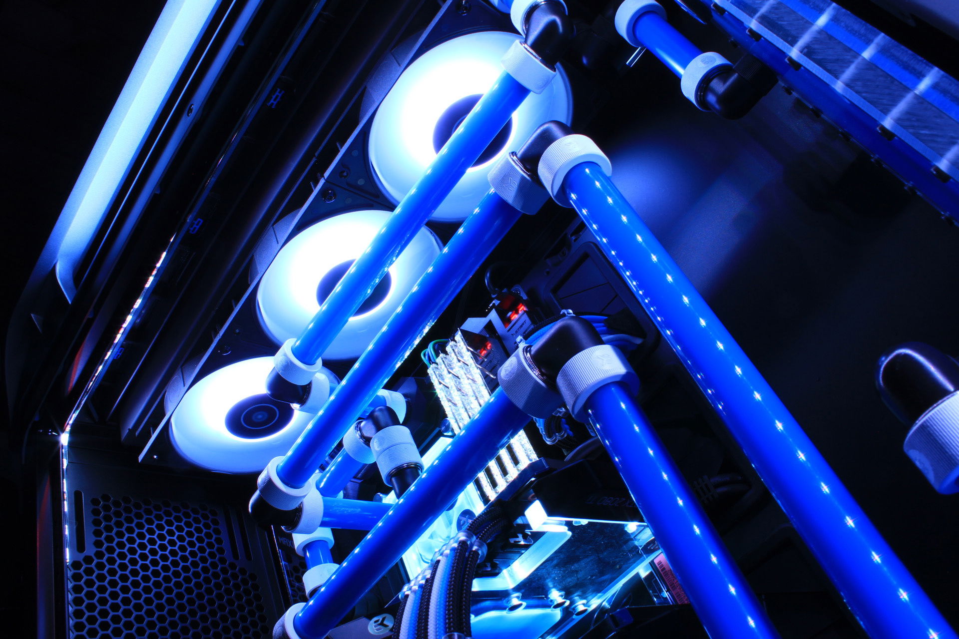 Intel 50 years anniversary » builds.gg