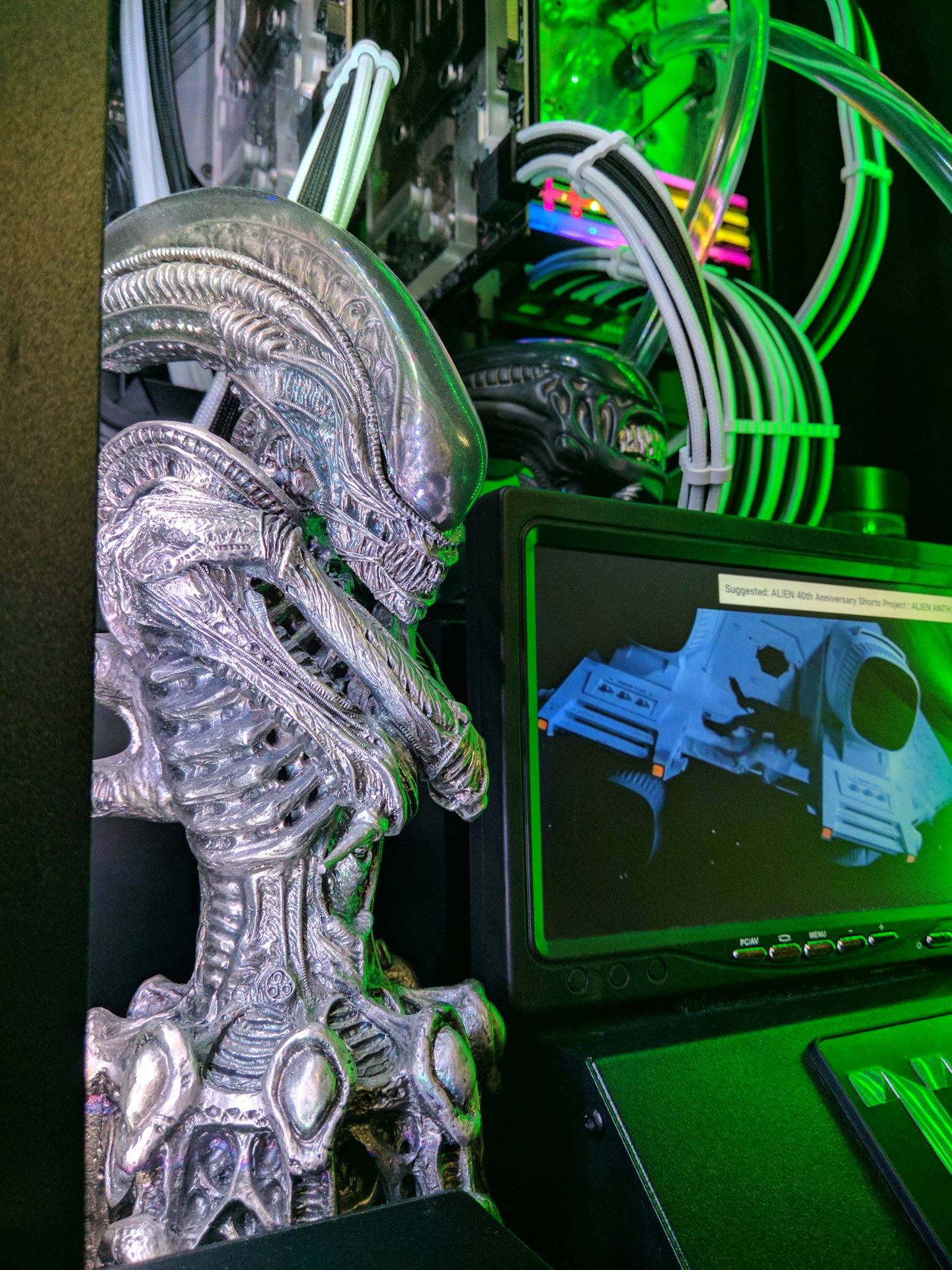 Alien » builds.gg